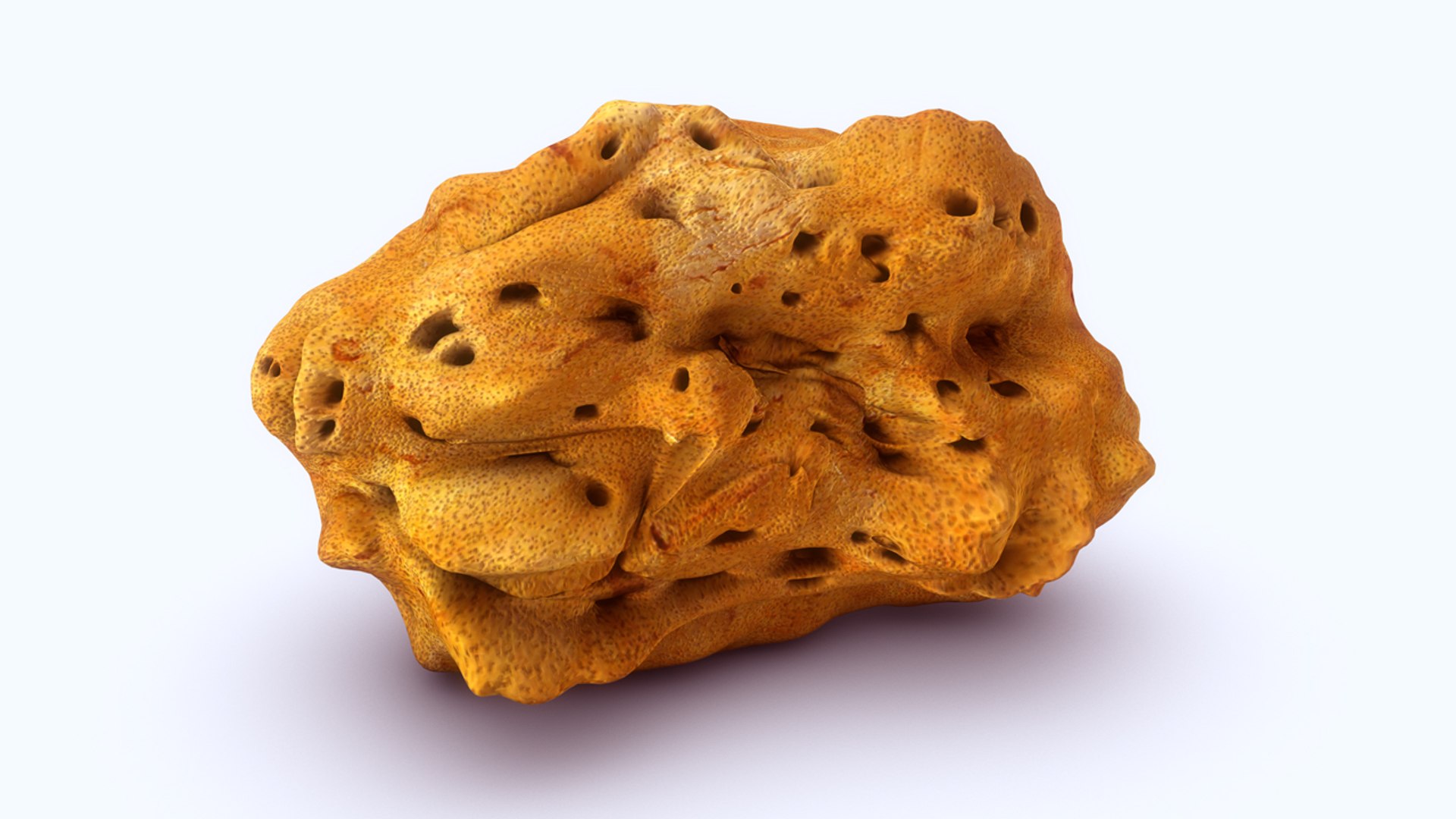 Spongia Sponges Tools 3d Obj