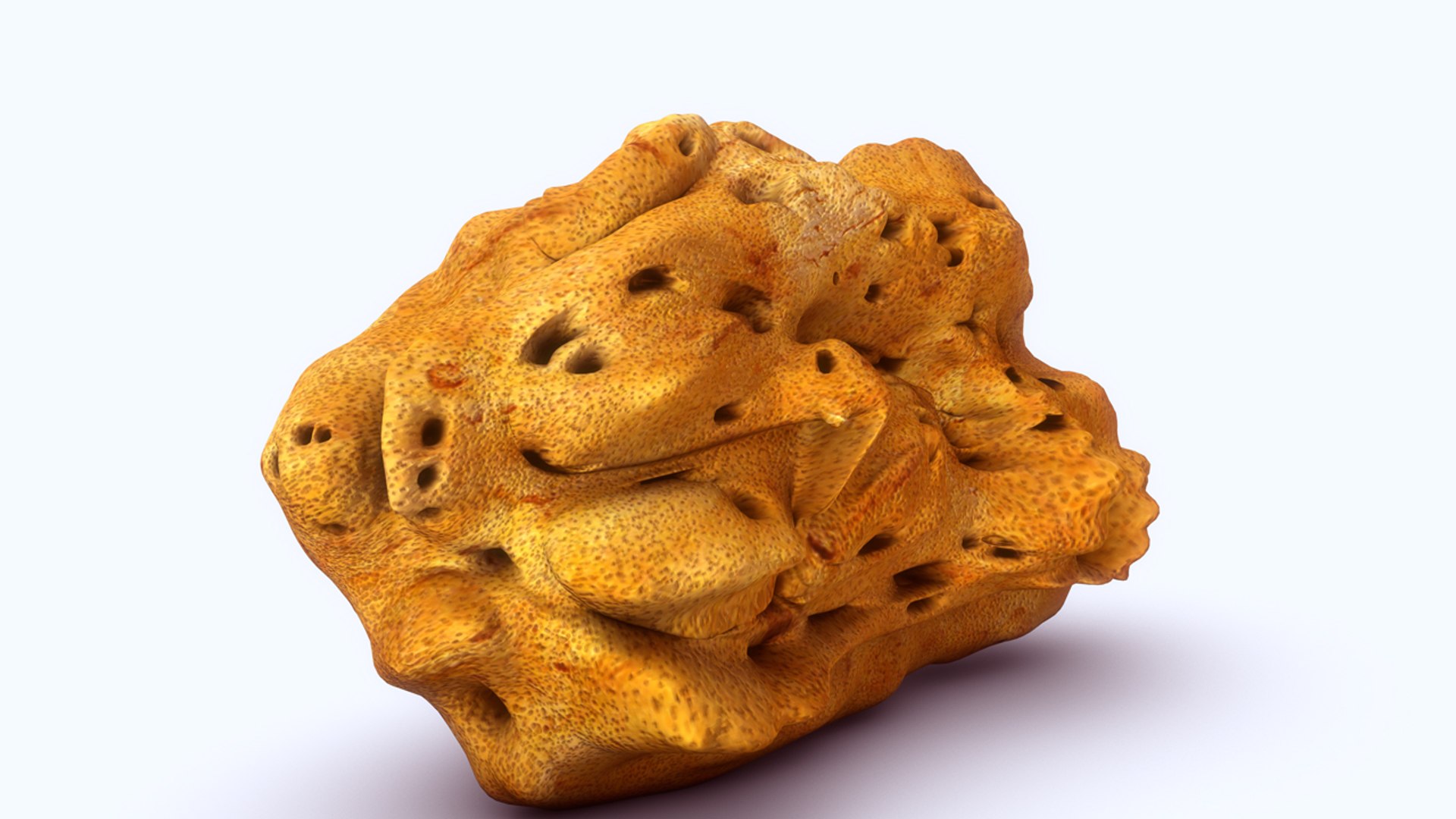 Spongia Sponges Tools 3d Obj
