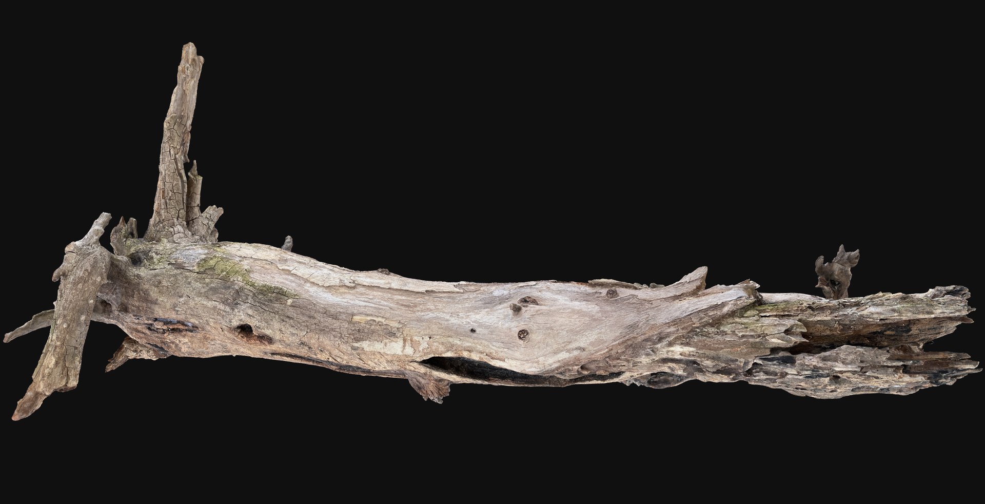 Dead Old Tree Of The Real World 3d Scan 3D - TurboSquid 2226587