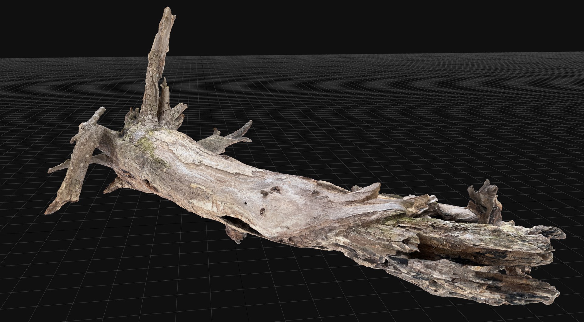 Dead Old Tree Of The Real World 3d Scan 3D - TurboSquid 2226587