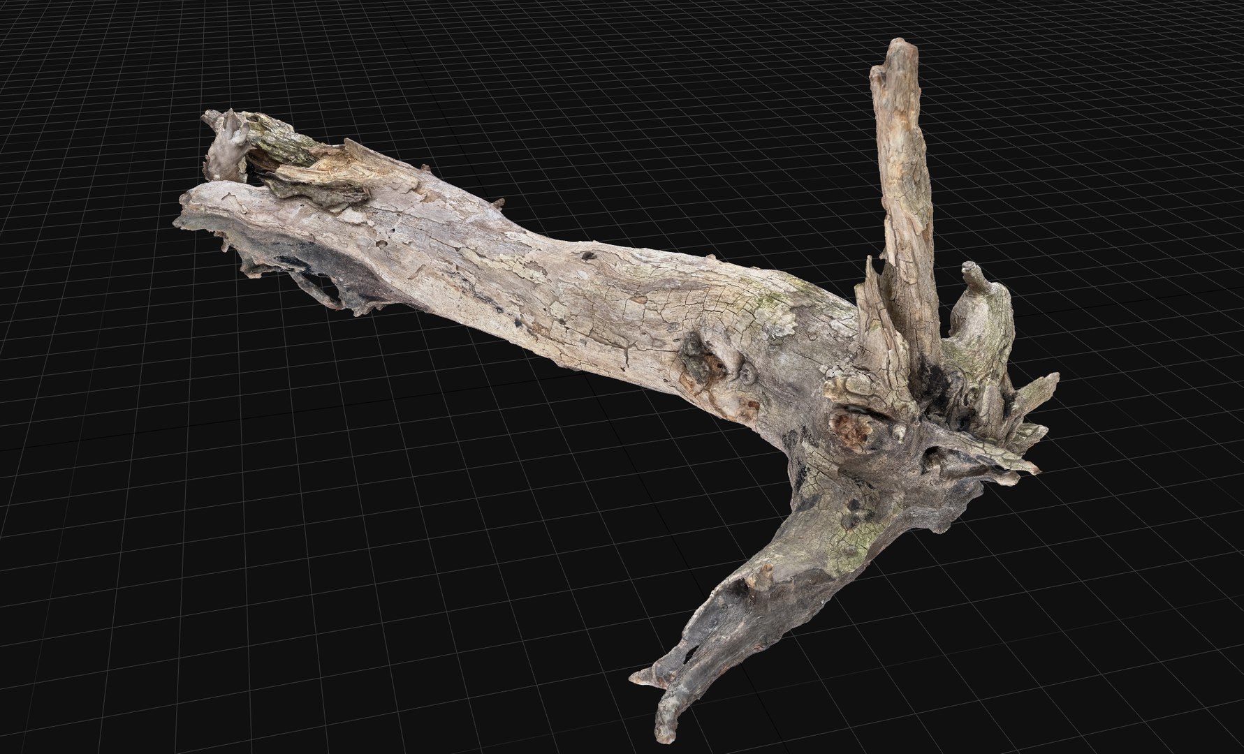 Dead Old Tree Of The Real World 3d Scan 3D - TurboSquid 2226587