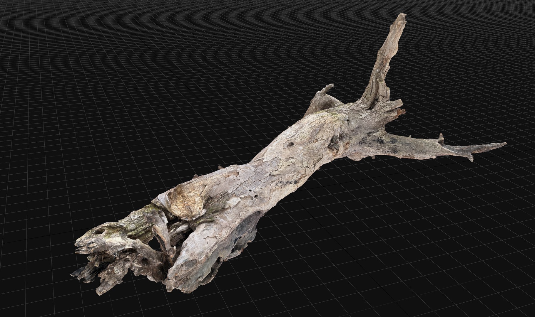 Dead Old Tree Of The Real World 3d Scan 3D - TurboSquid 2226587