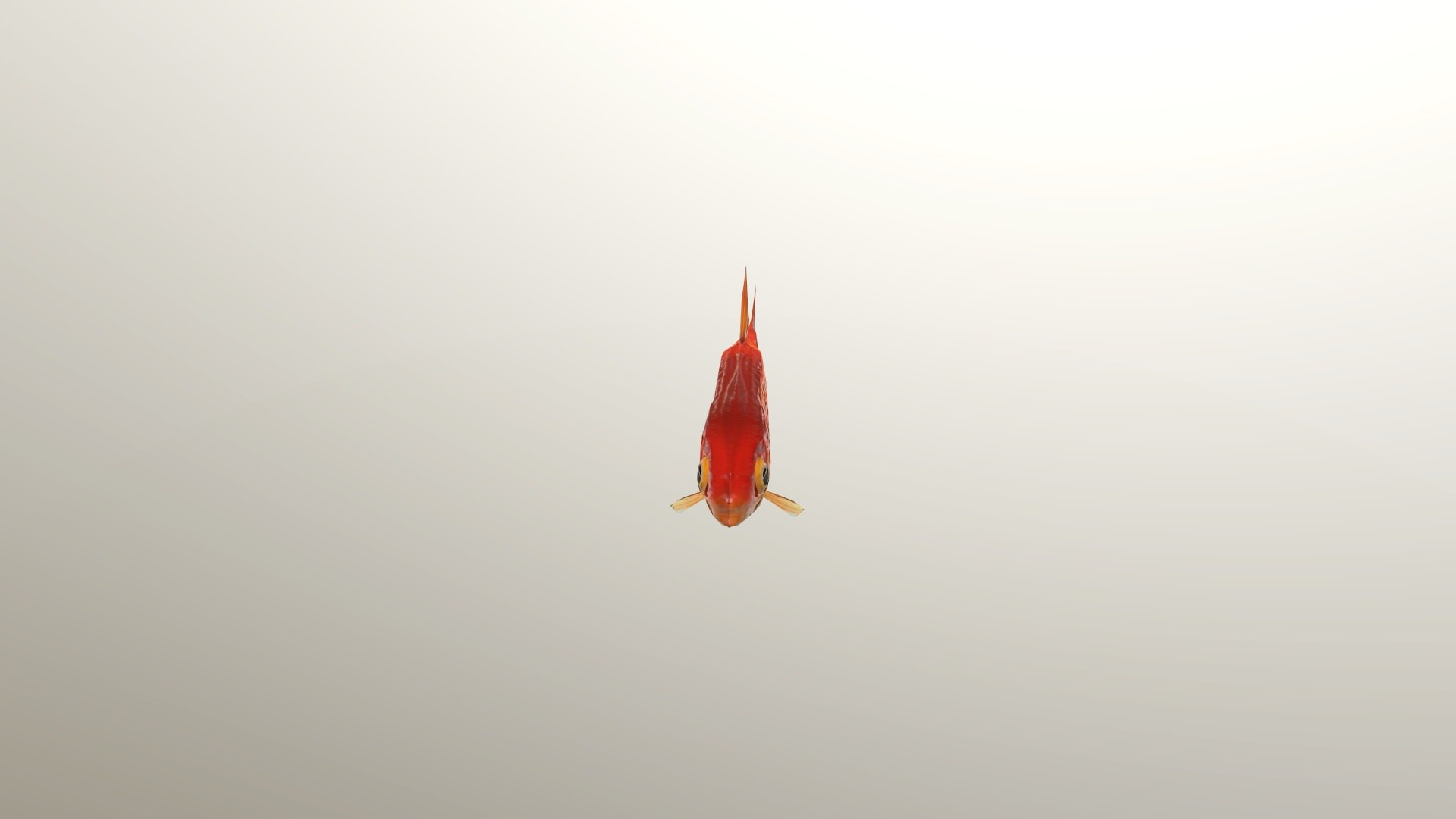 3D Model Gold Fish - TurboSquid 1414587
