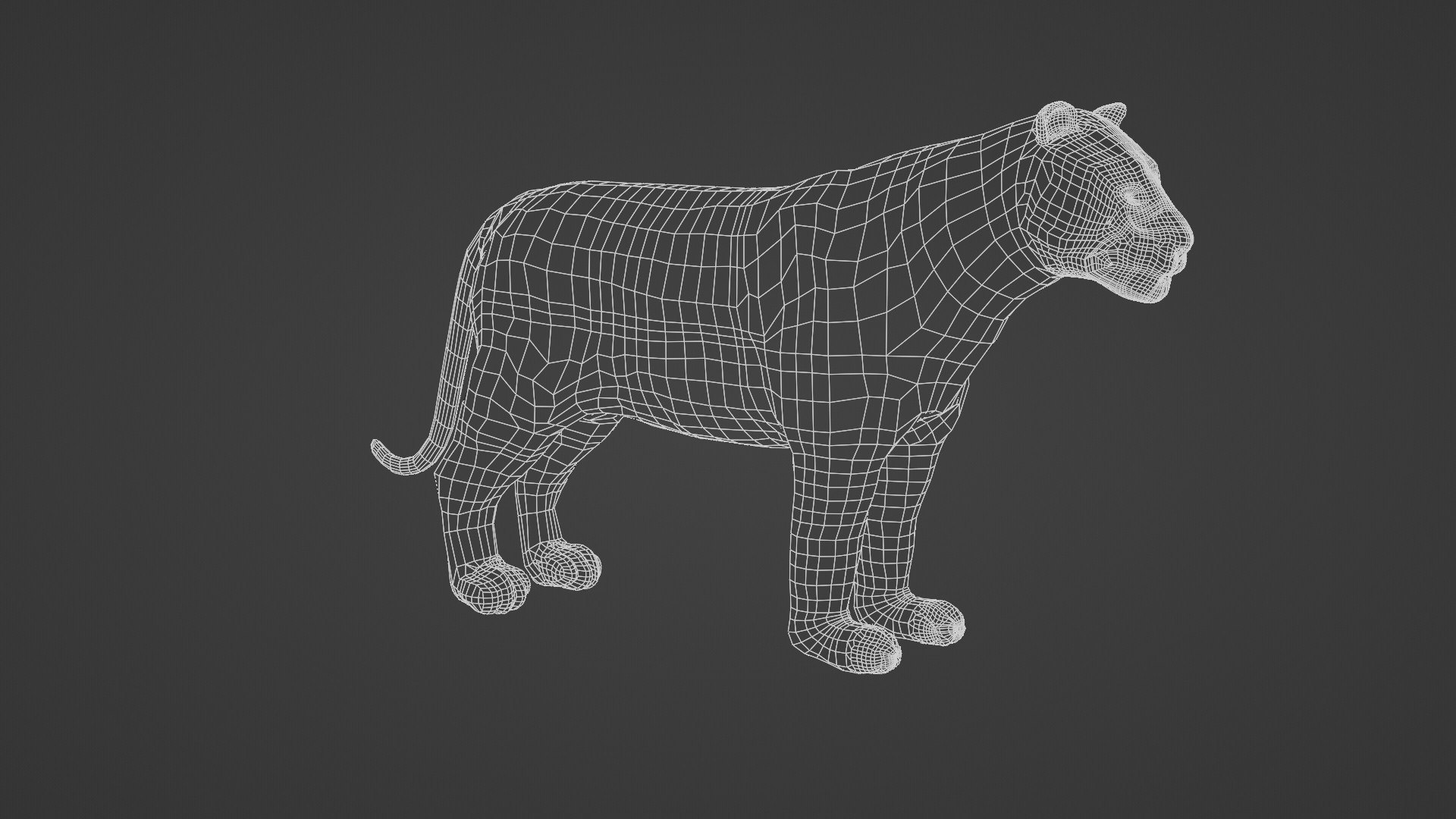 Tiger Basemesh 3D - TurboSquid 2045691