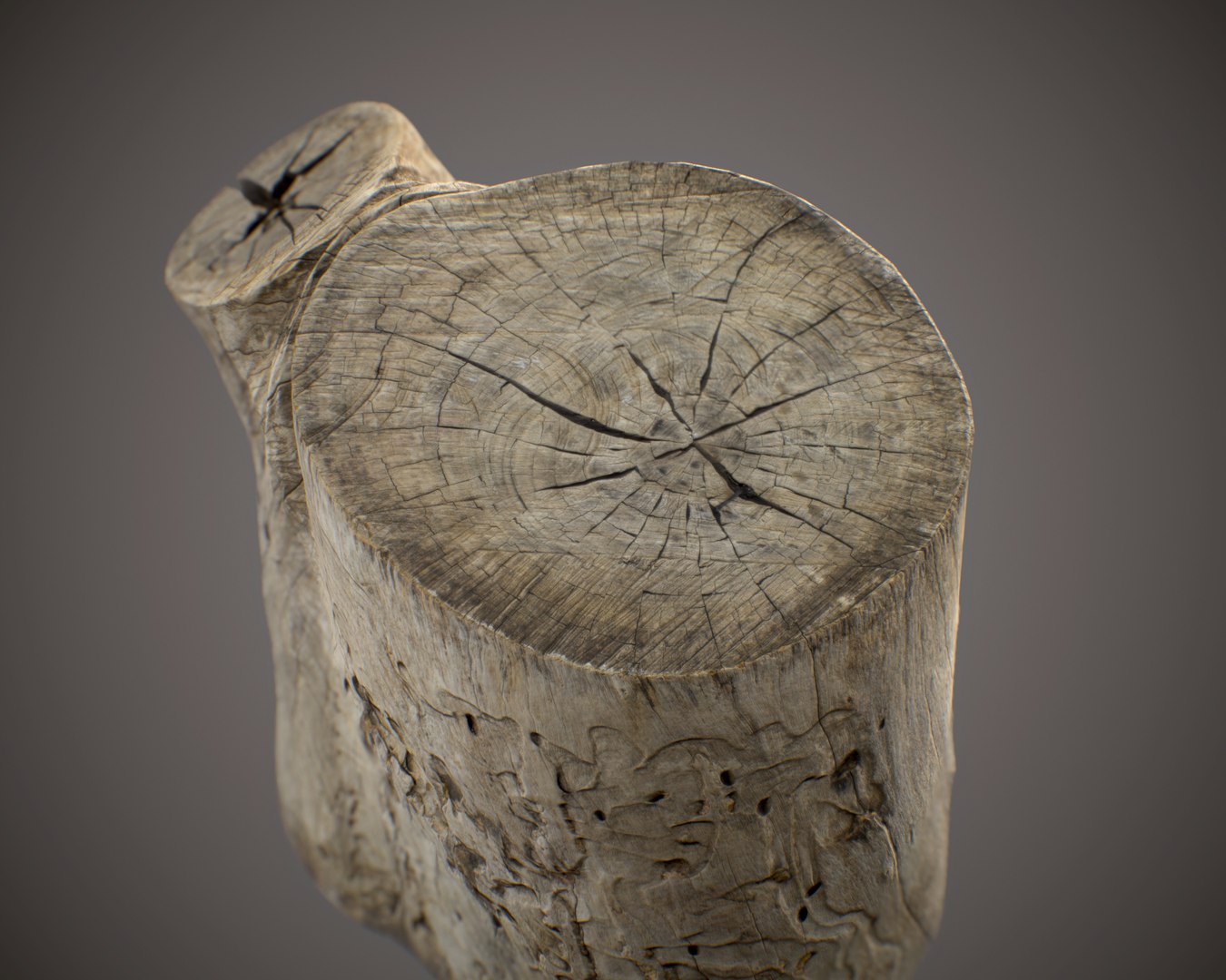 3D Stump Model - TurboSquid 1214957