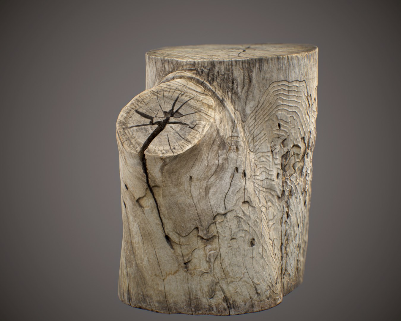 3D Stump Model - TurboSquid 1214957