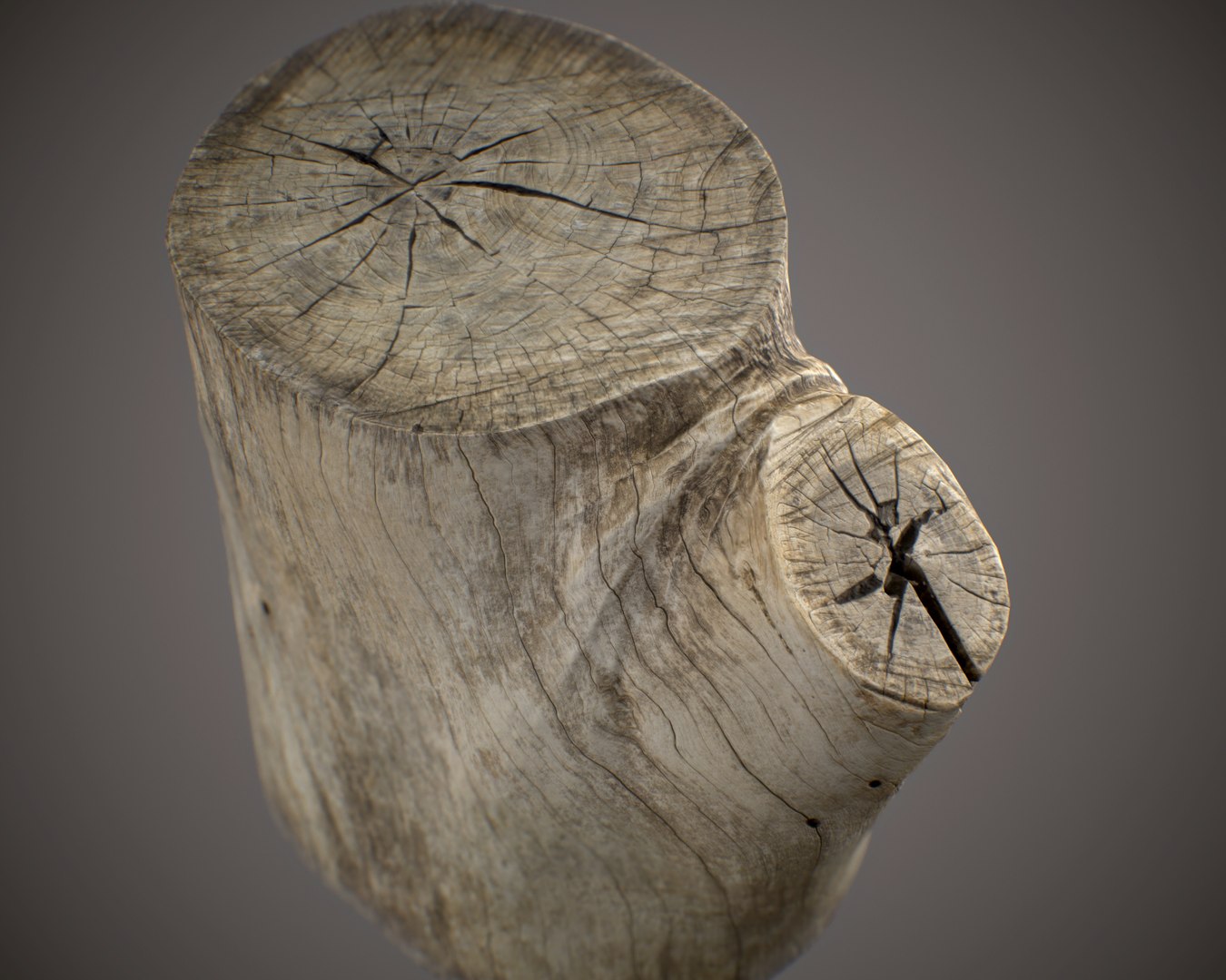 3D Stump Model - TurboSquid 1214957