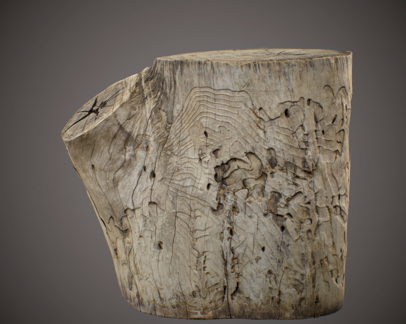 3D Stump Model - TurboSquid 1214957