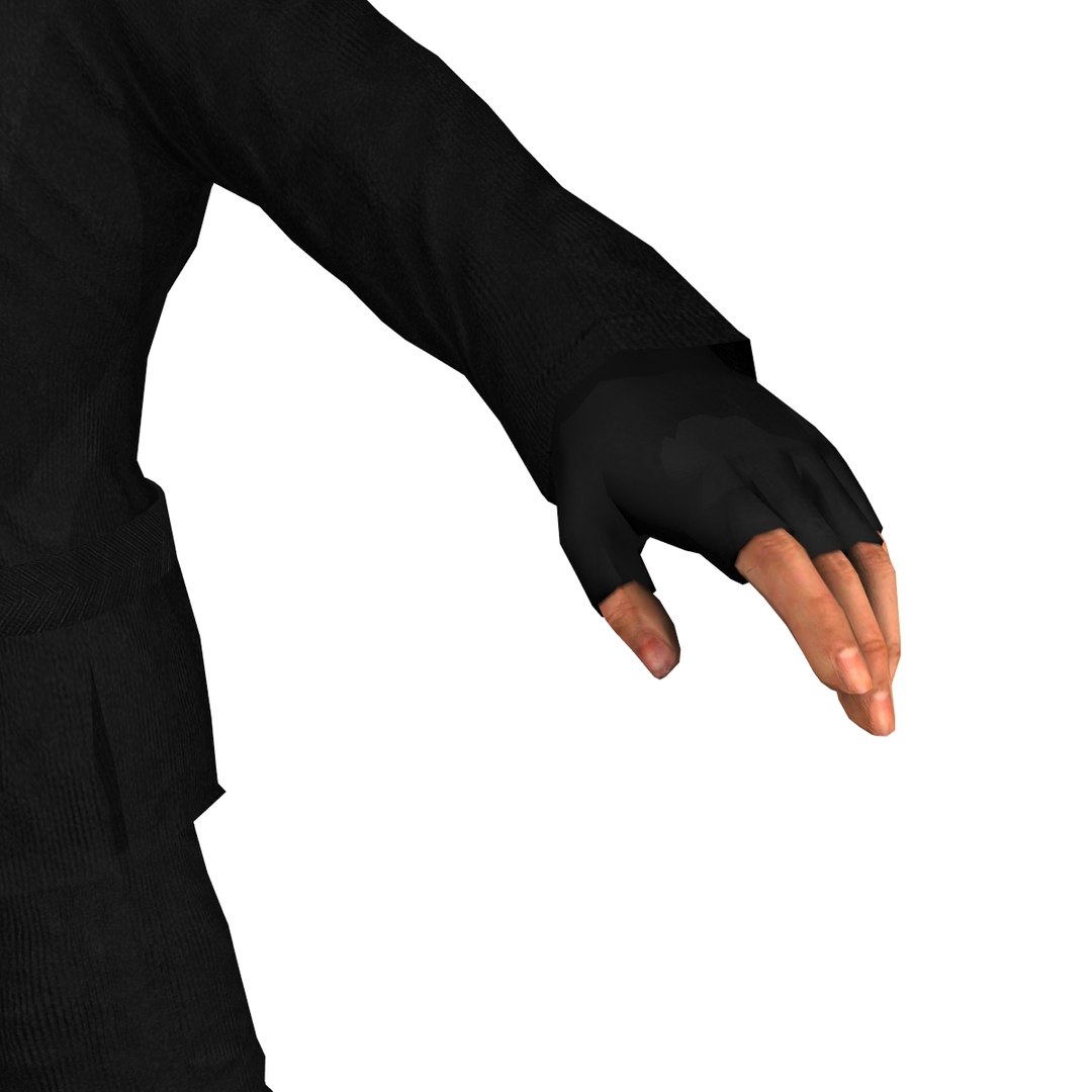 Ninja 1 3d Model
