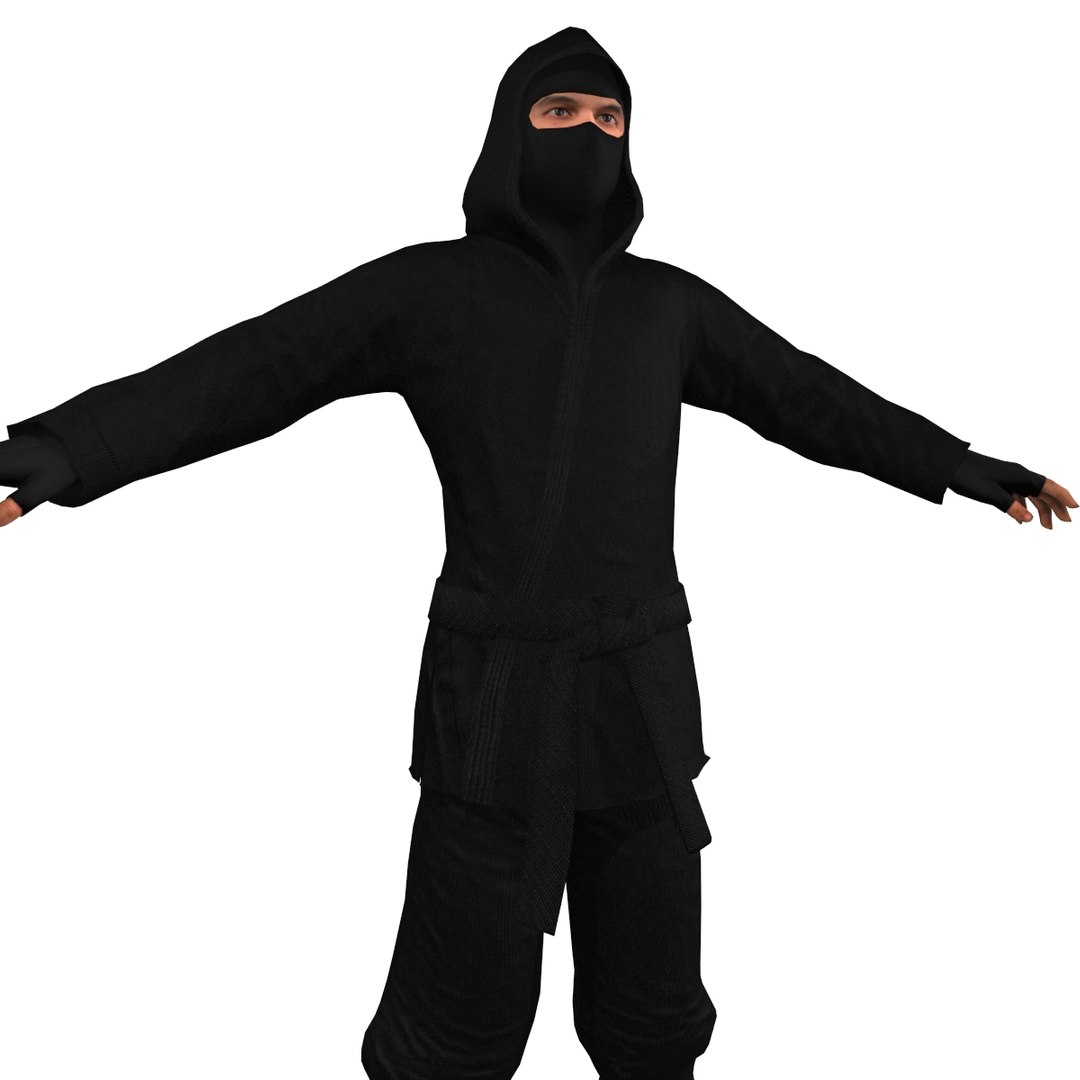 Ninja 1 3d Model