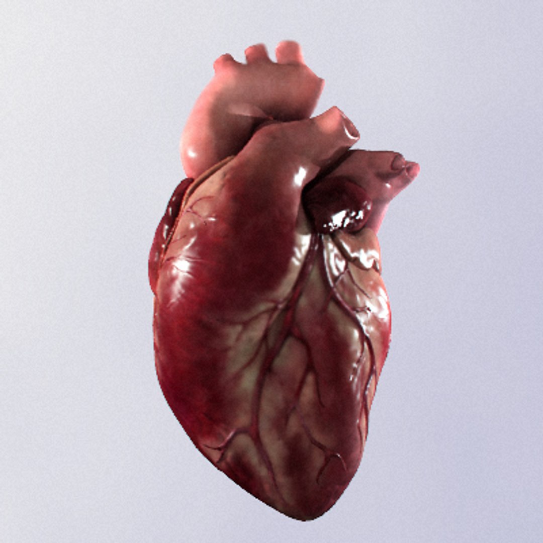 3ds Max Photorealistic Heart