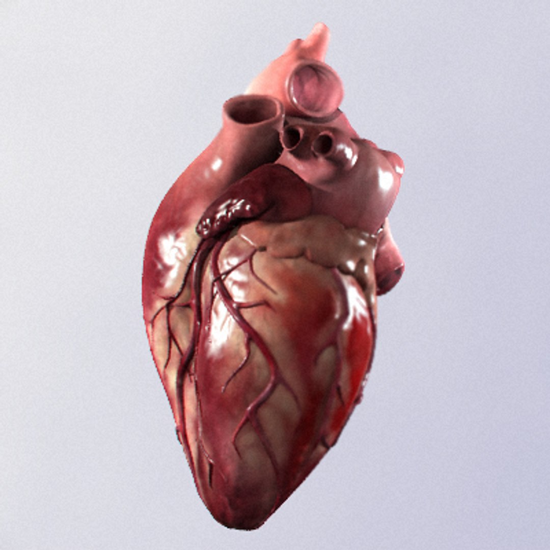 3ds Max Photorealistic Heart