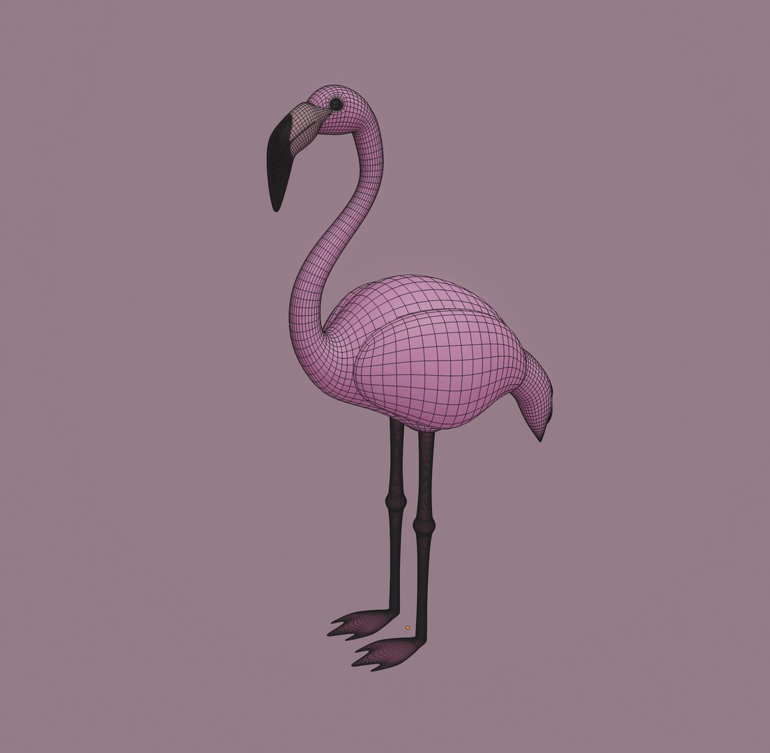 Flamingo Nature Bird Model - TurboSquid 1663250