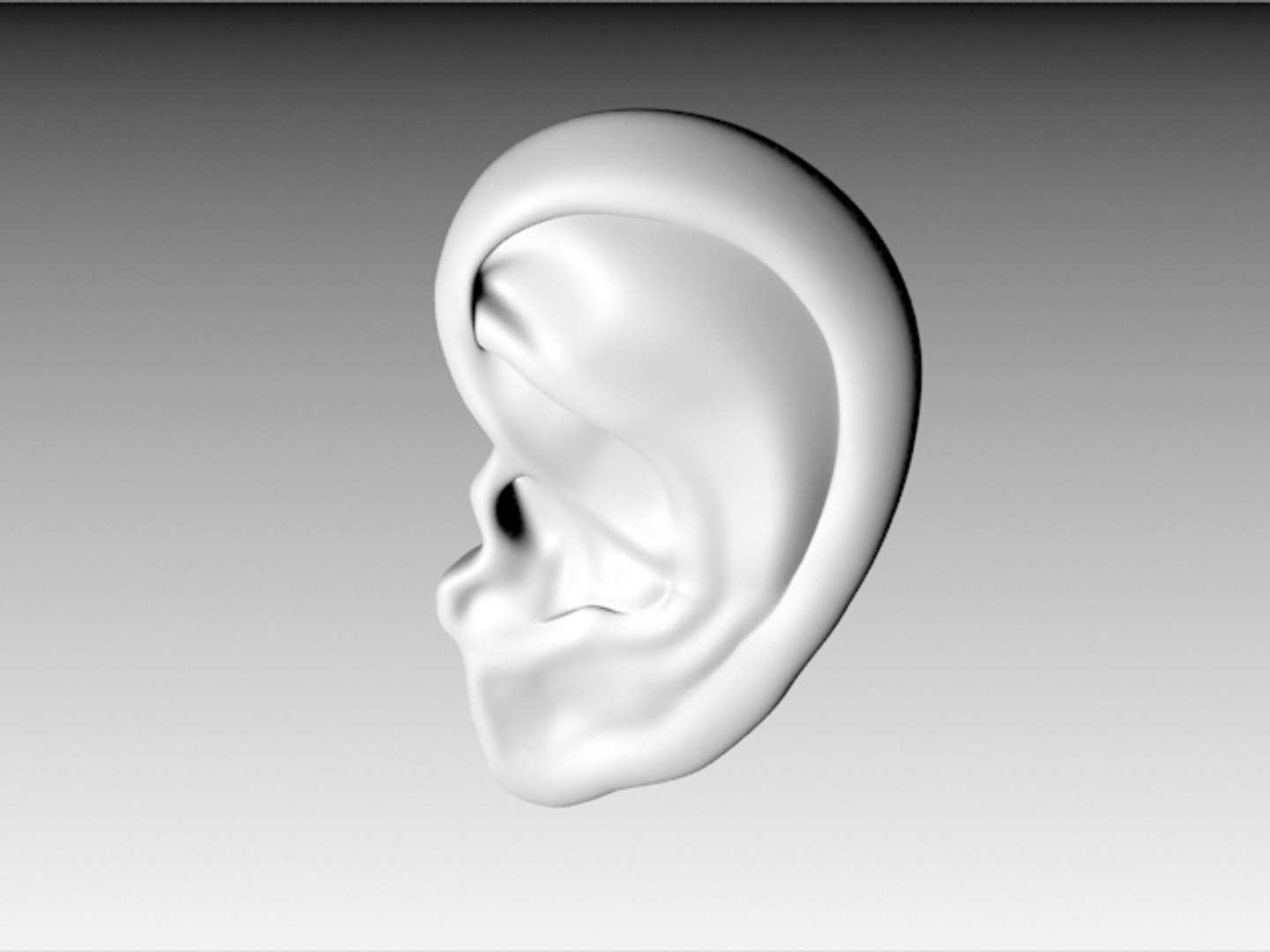 Free Model Ear