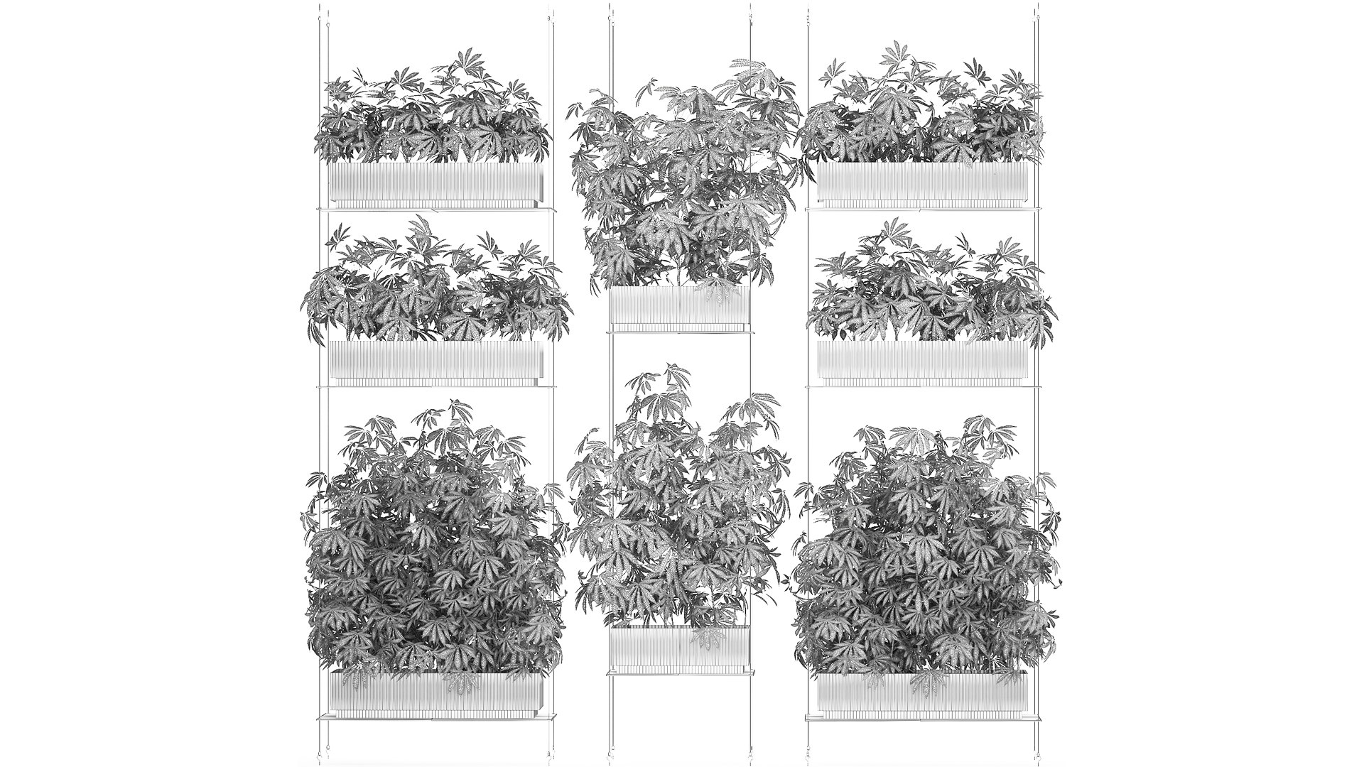 3D Model Garden Plantation Bushes Hemp Marijuana Cannabis 1428 ...