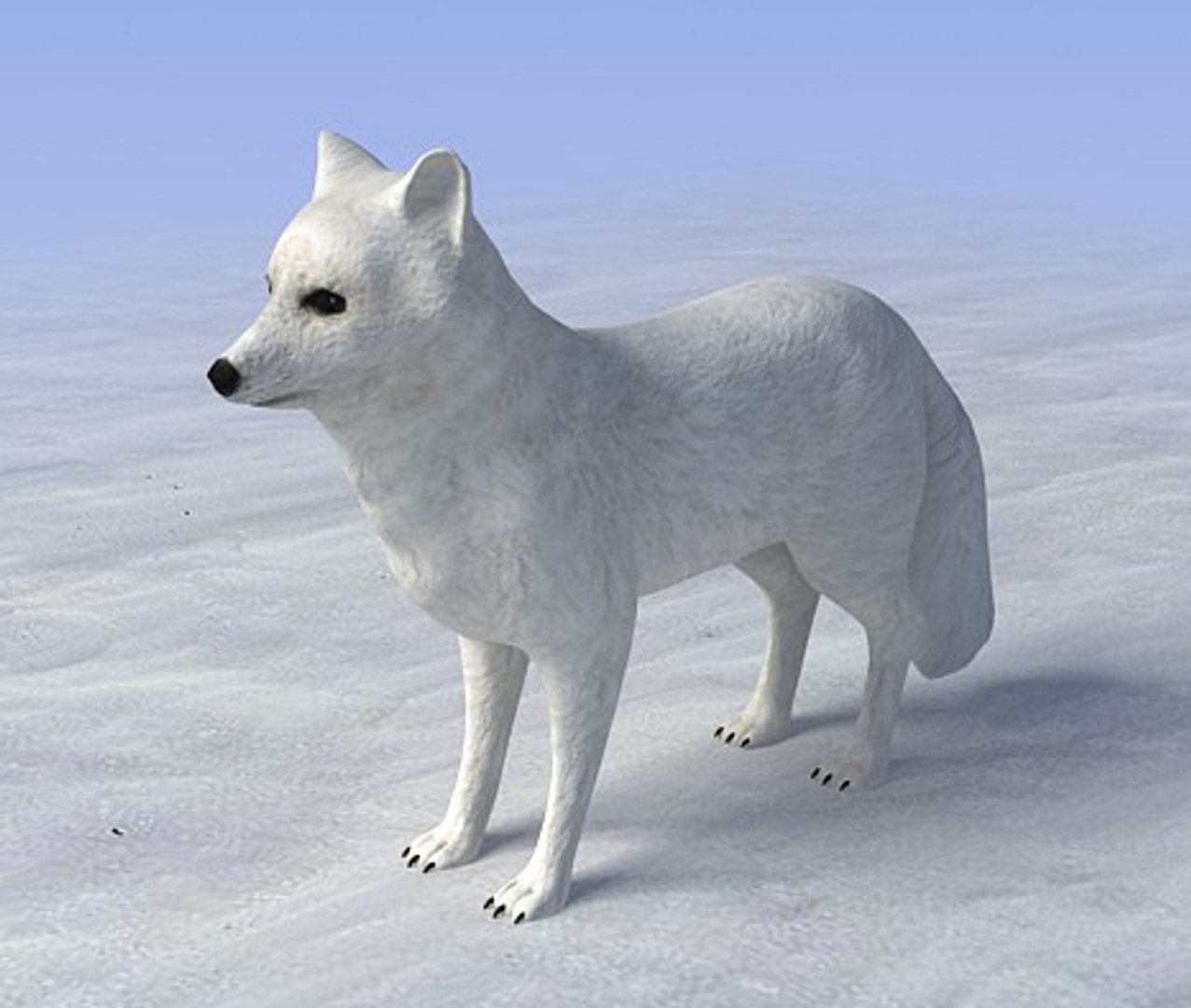3d Arctic Fox