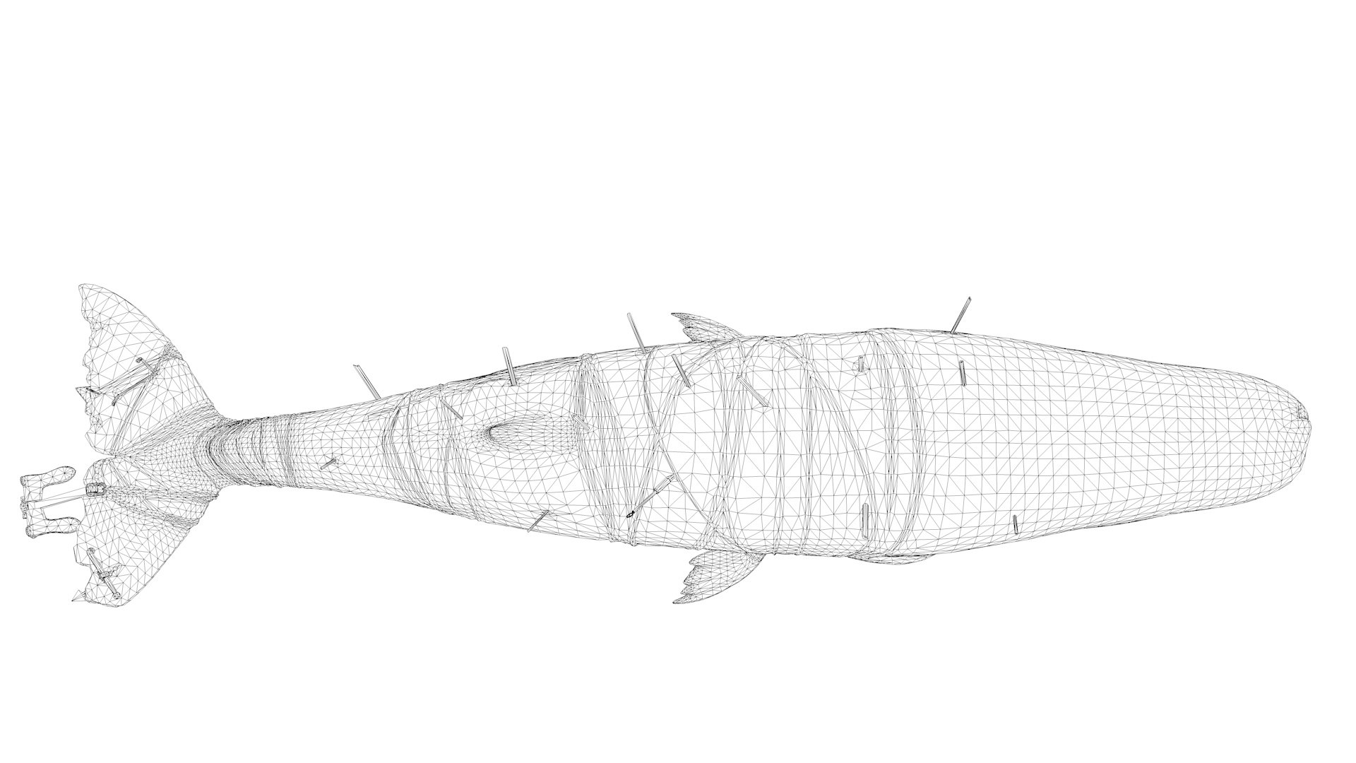 2in1 Sperm Whale Rigged And Animated 3D Model - TurboSquid 2335755