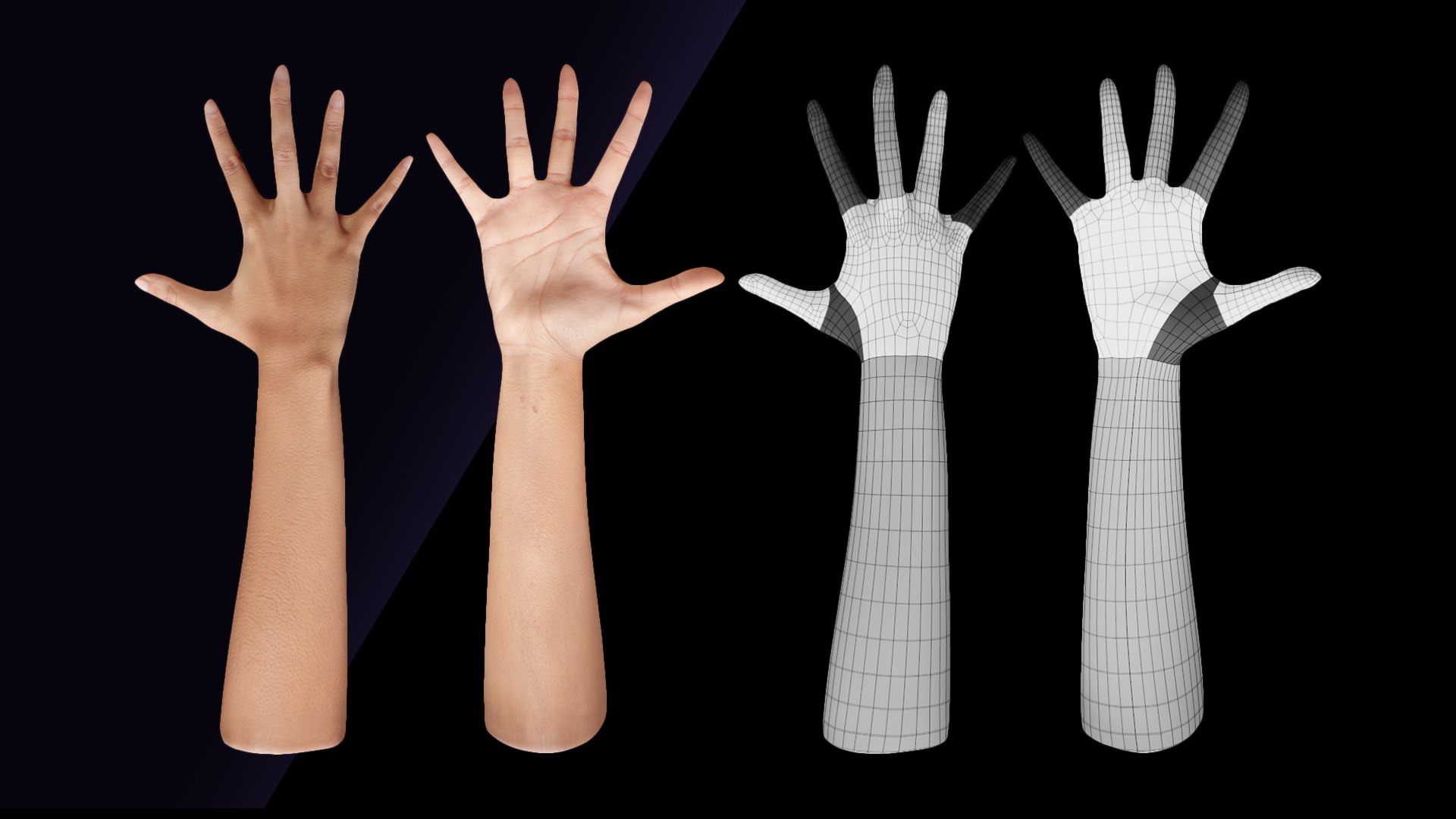 3D Retopologized 3D Hand Alexia Madrid Model - TurboSquid 2000373
