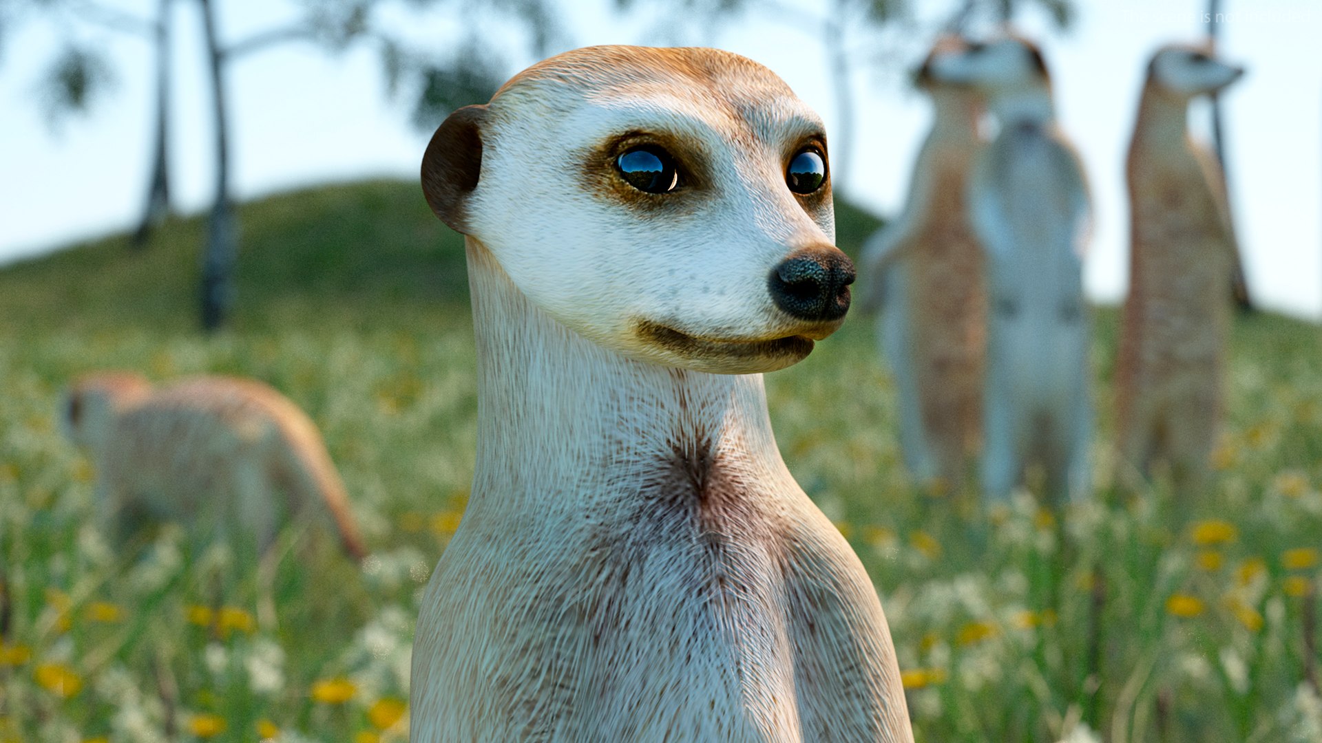 3D Meerkat Rigged for Modo - TurboSquid 1943693