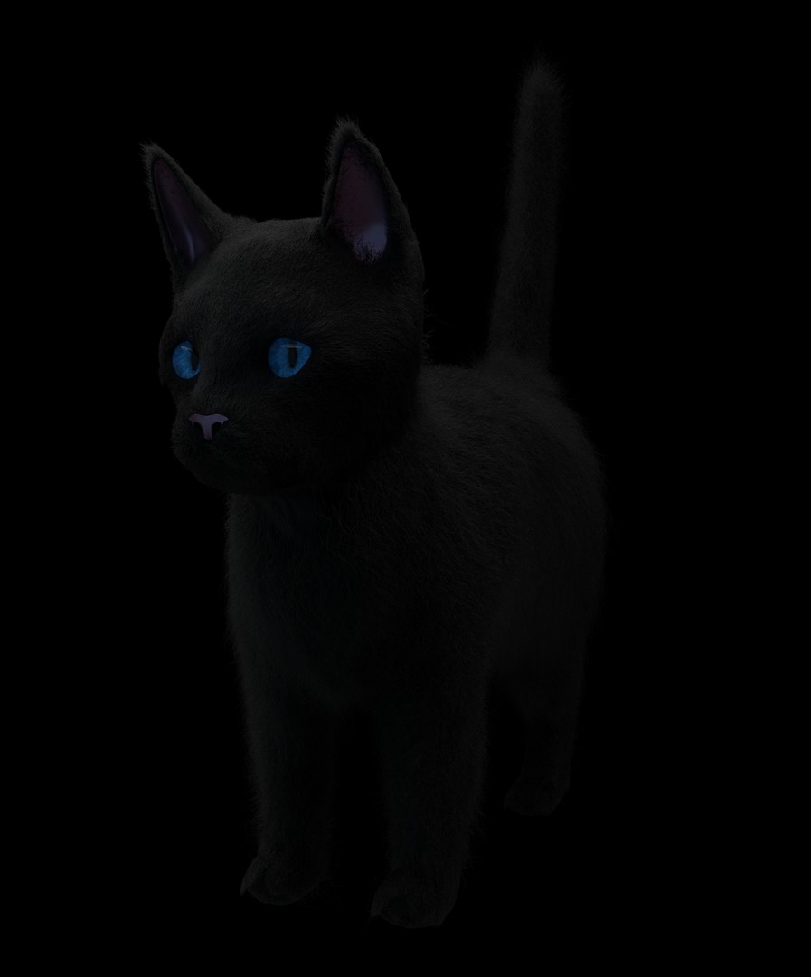 3D black cat model - TurboSquid 1224936