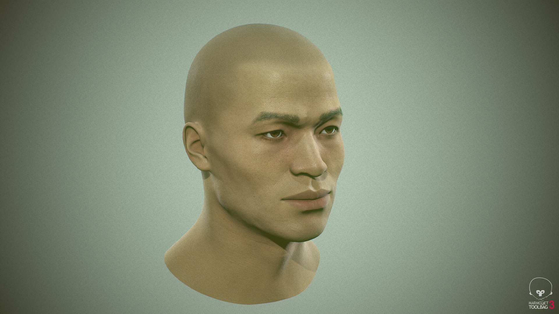 Average asian male model - TurboSquid 1179135