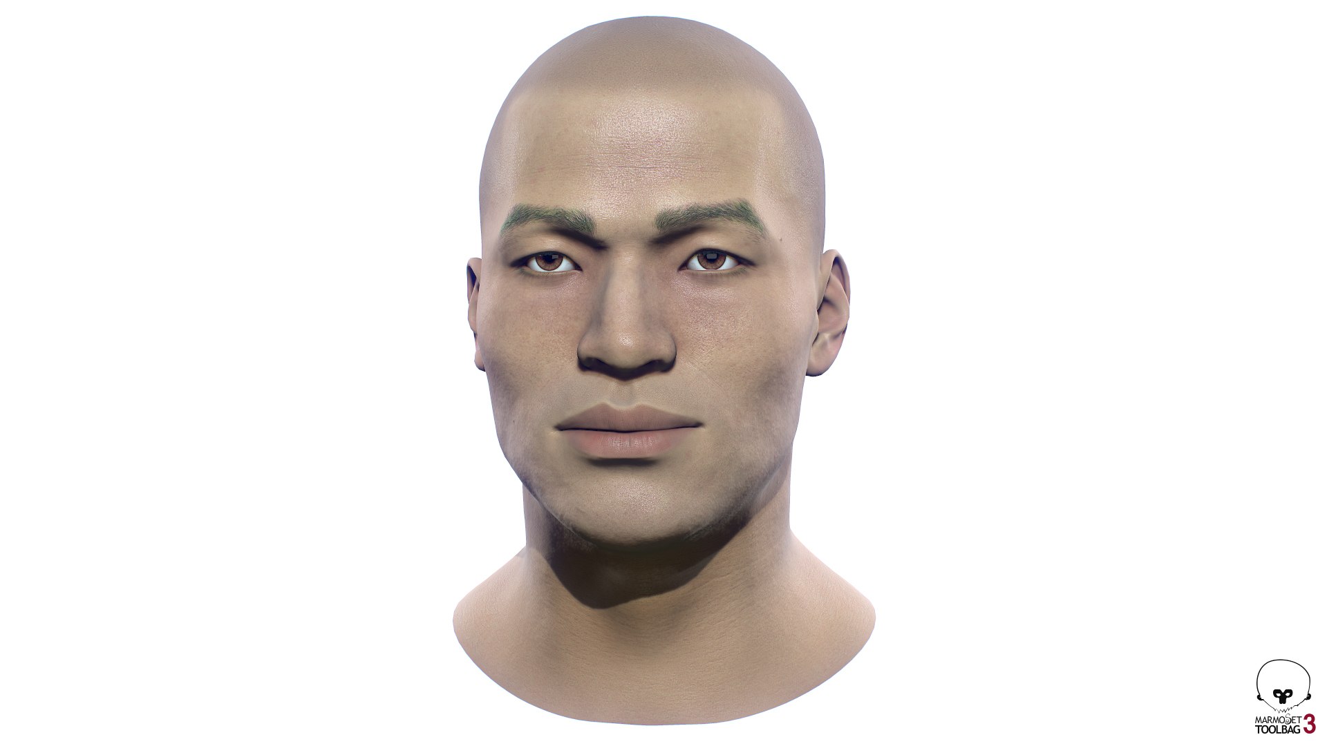 Average asian male model - TurboSquid 1179135