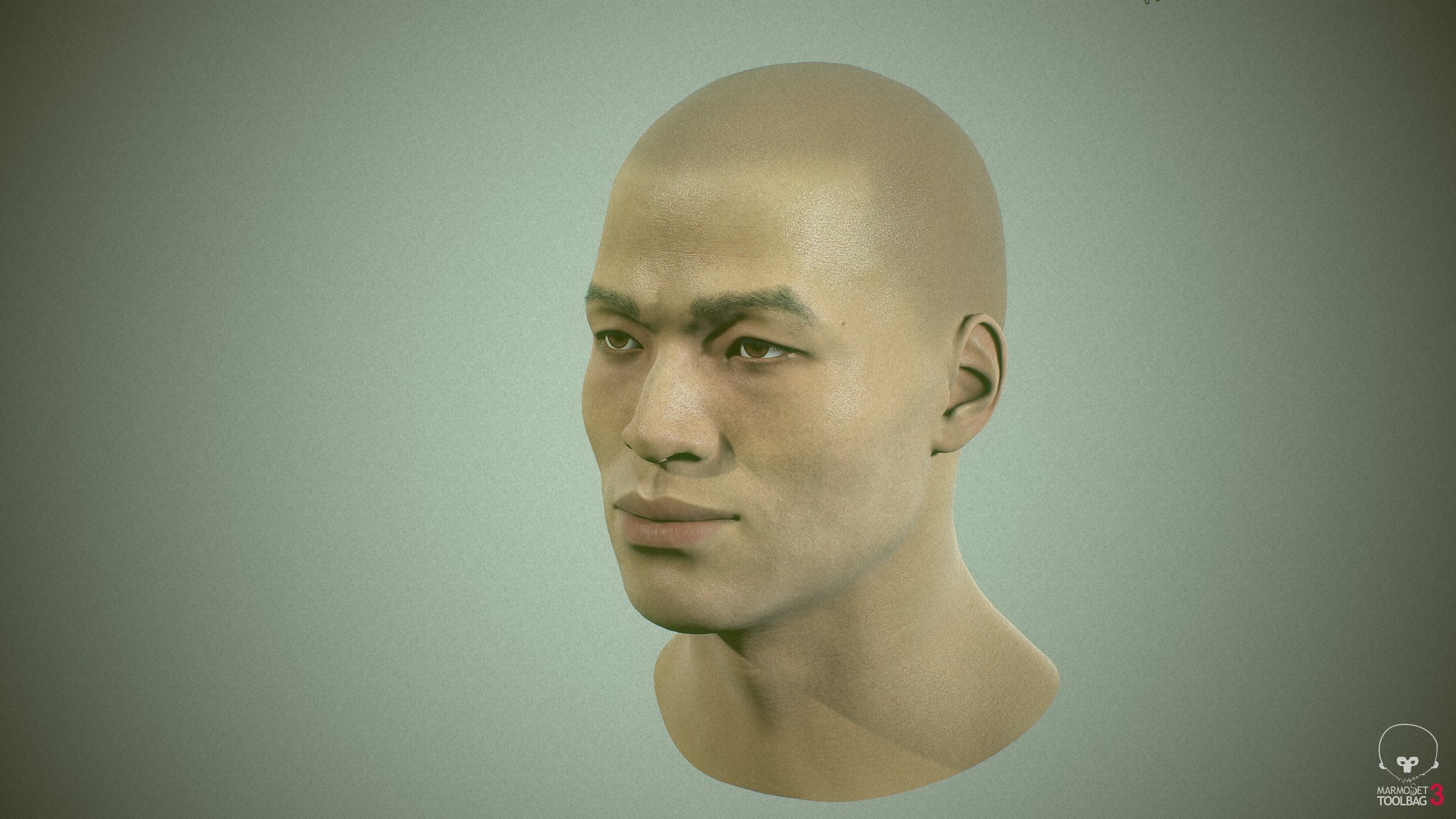 Average asian male model - TurboSquid 1179135