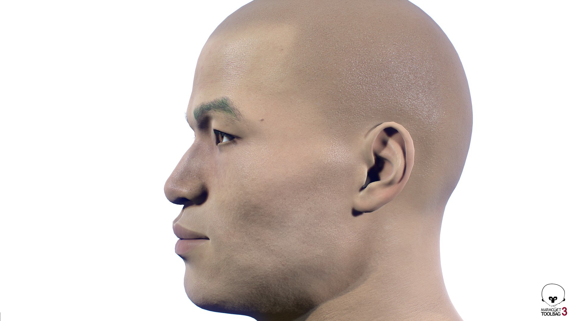 Average asian male model - TurboSquid 1179135