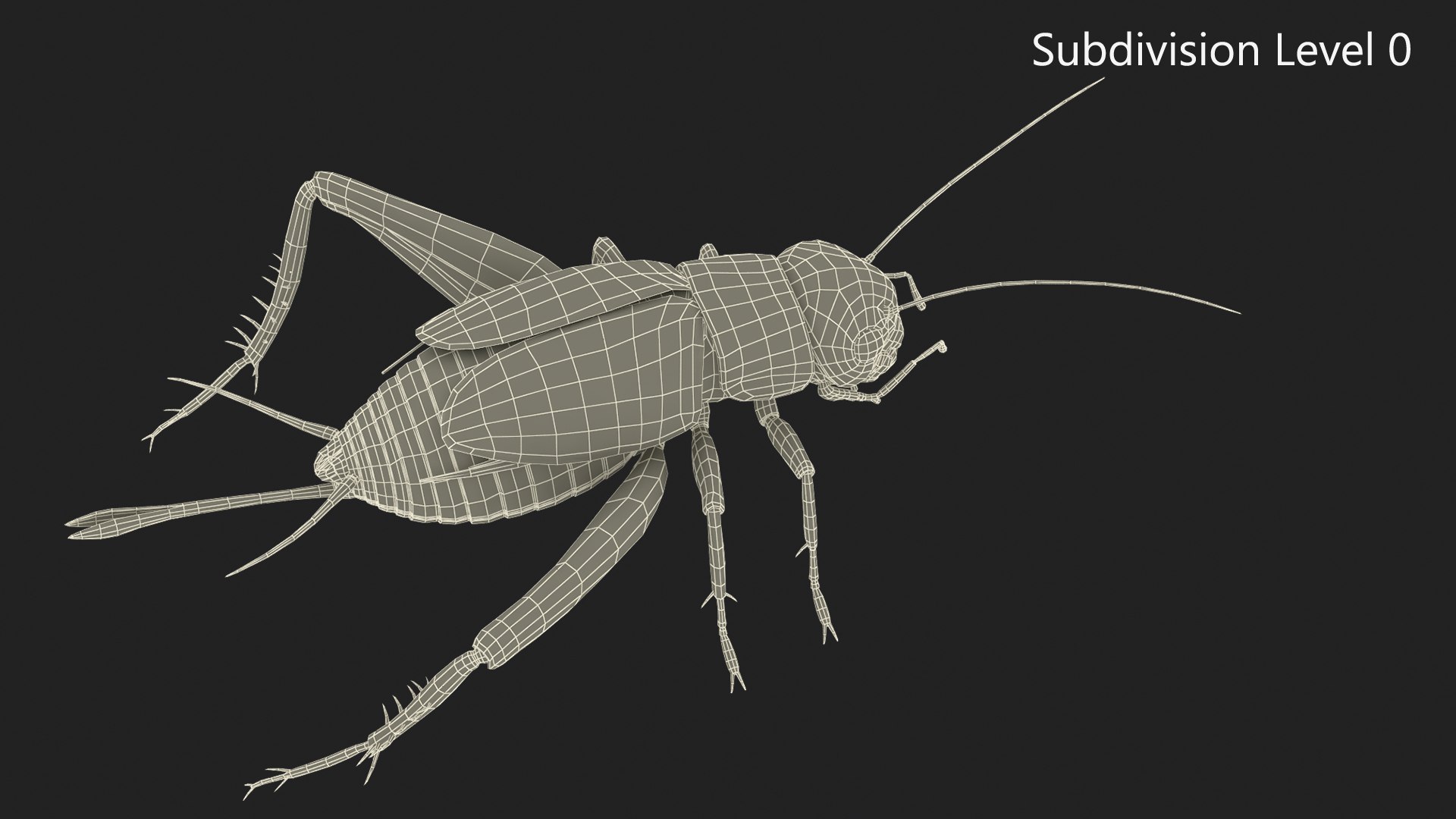 3D Field Cricket Rigged - TurboSquid 2264143