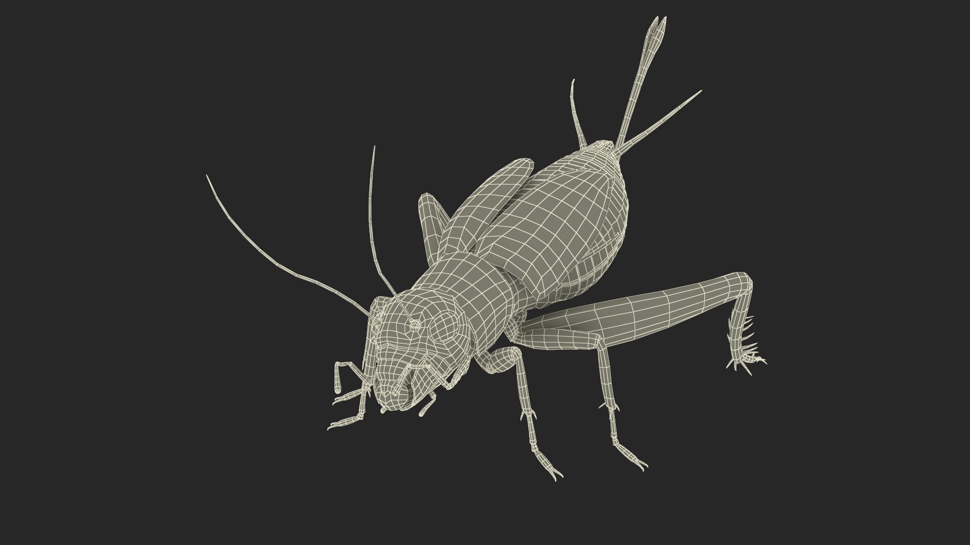 3D Field Cricket Rigged - TurboSquid 2264143
