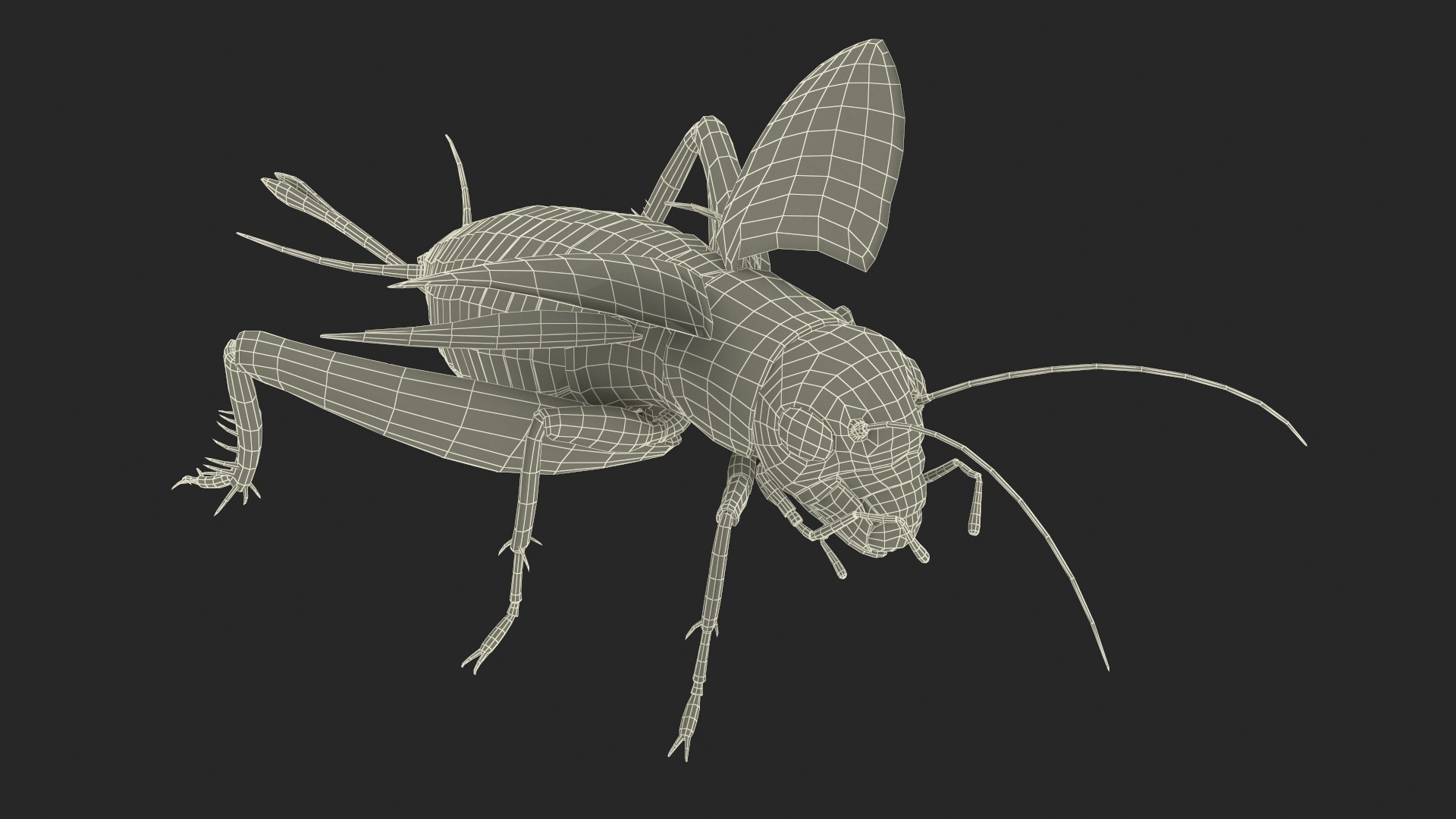 3D Field Cricket Rigged - TurboSquid 2264143