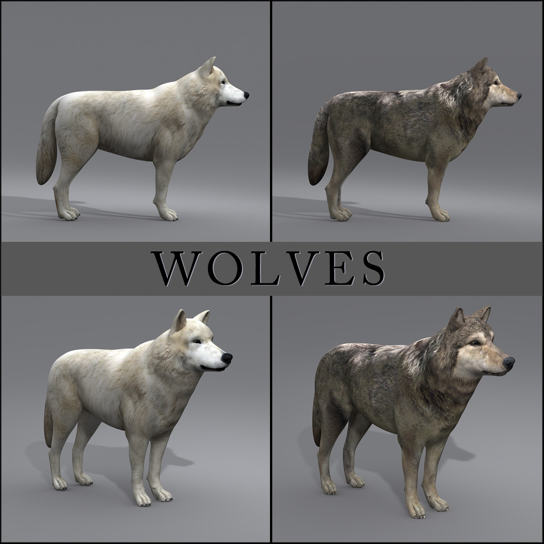 wolves wolf 3d model
