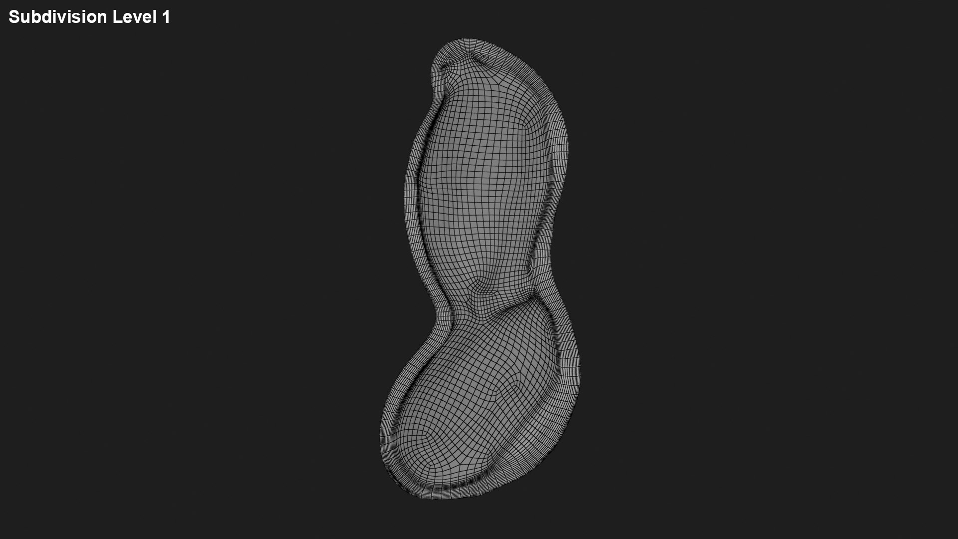 Peanut Shell Collection 2 3D model - TurboSquid 1960951