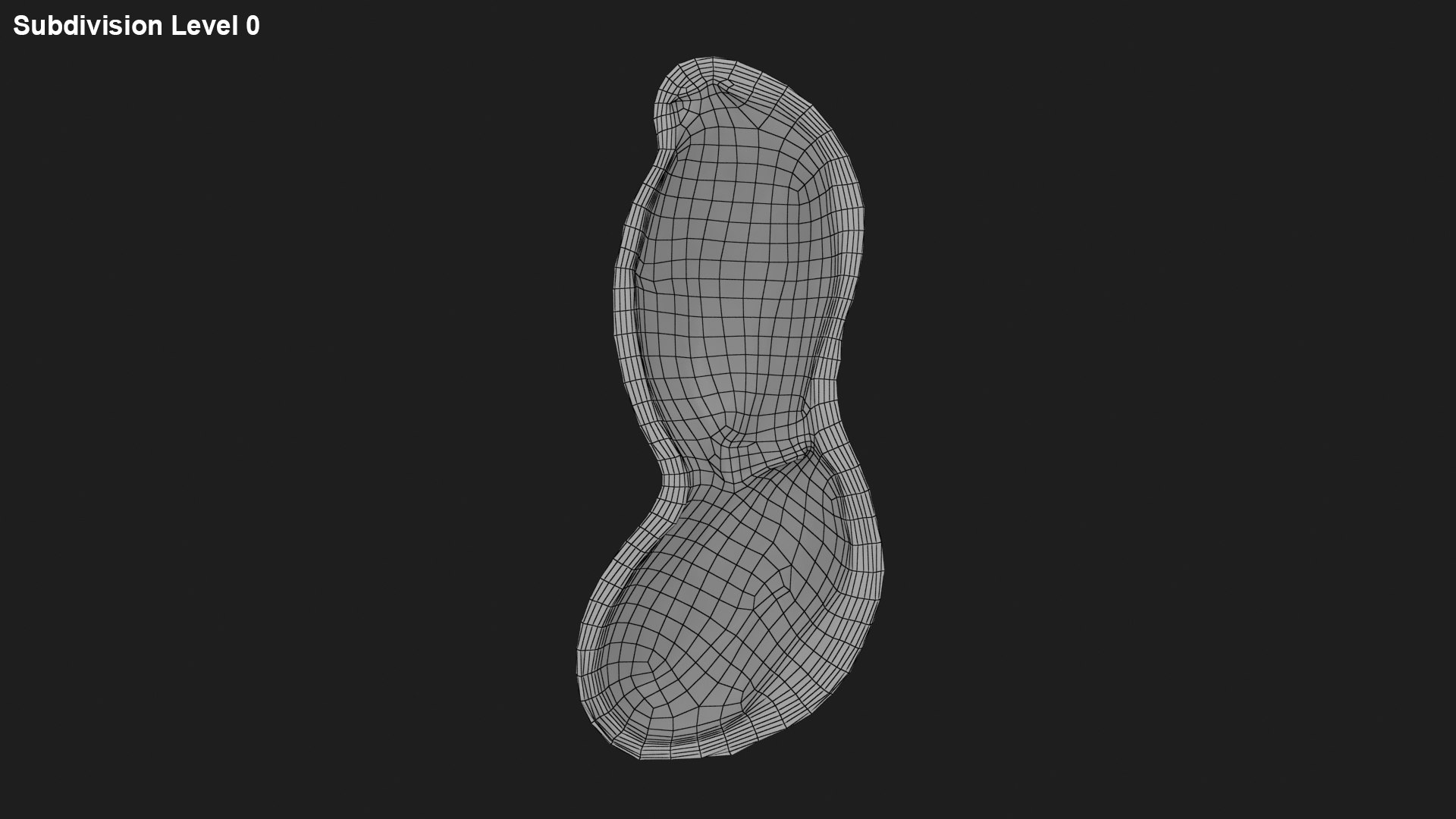 Peanut Shell Collection 2 3D model - TurboSquid 1960951