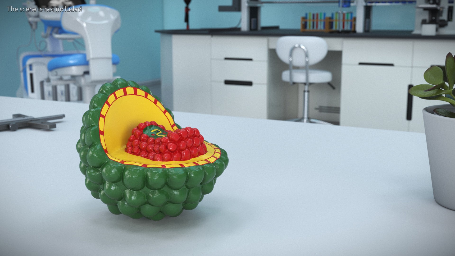 3D Model HIV Cutaway Virus Model With Internal Components - TurboSquid ...