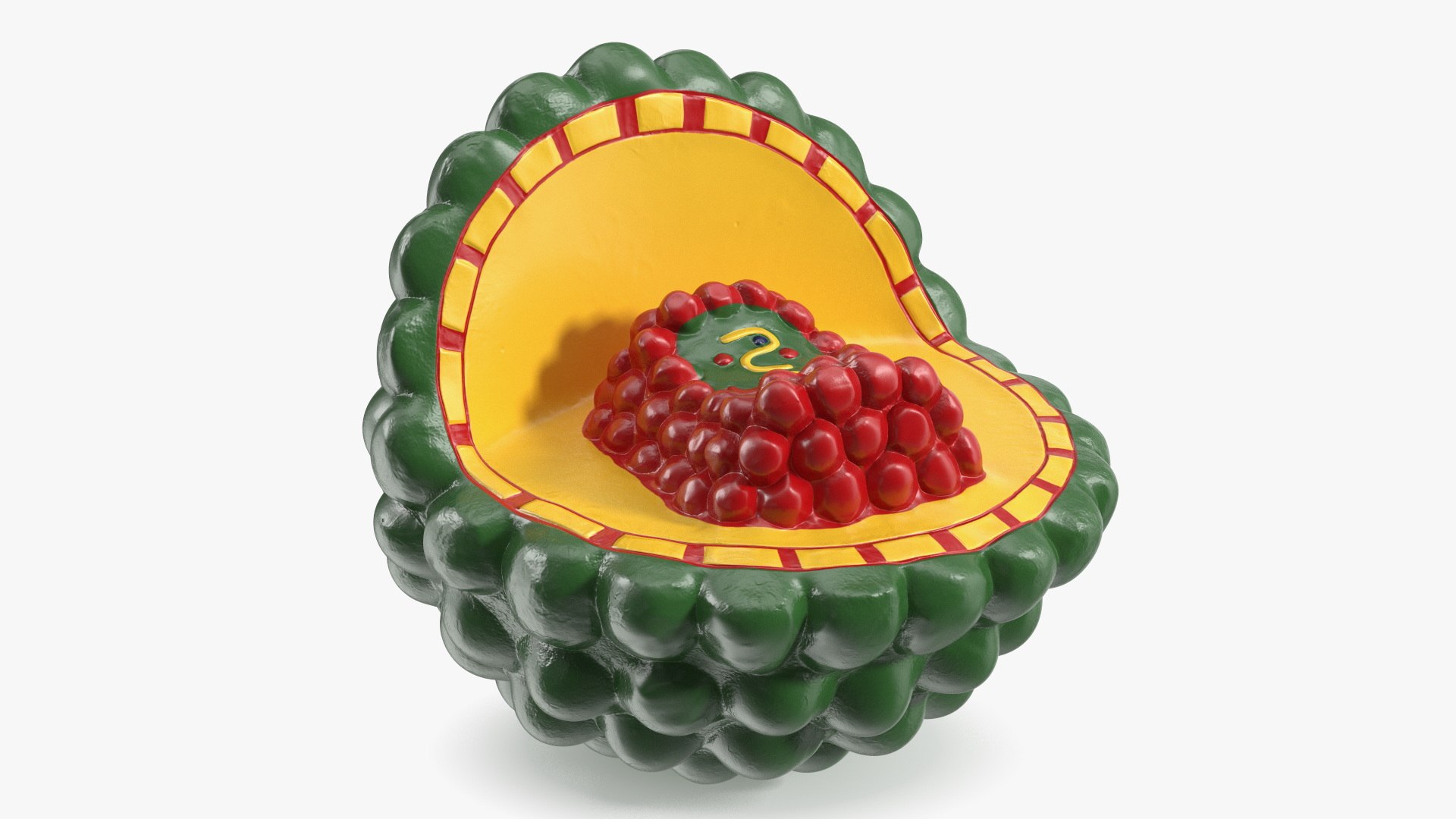 3D Model HIV Cutaway Virus Model With Internal Components - TurboSquid ...