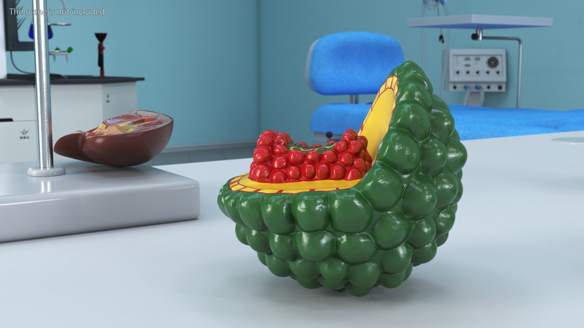 3D Model HIV Cutaway Virus Model With Internal Components - TurboSquid 2410002