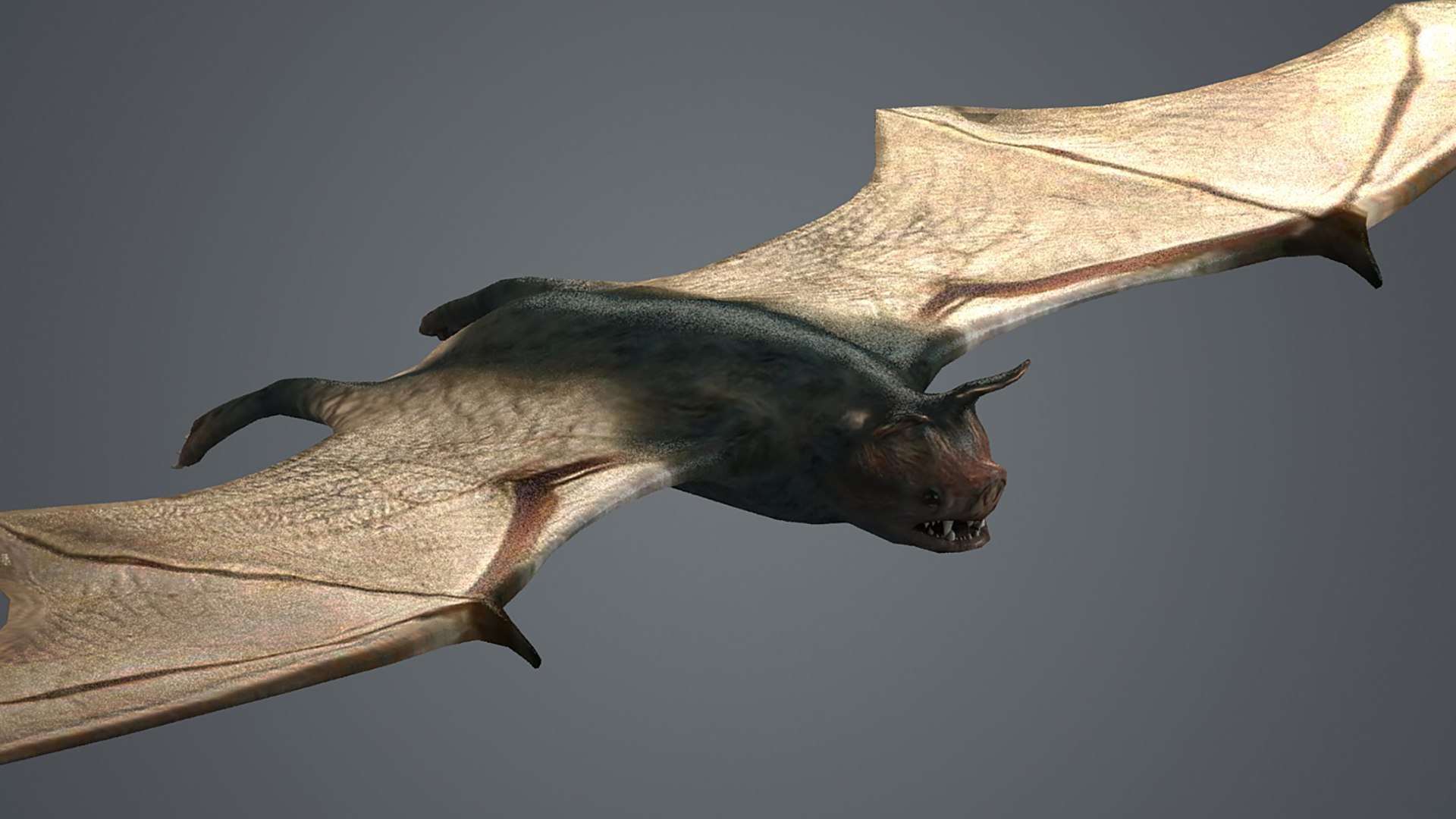 Bats Dark Bat Animated Rigg Mammal Bird Flying Vampire Model ...