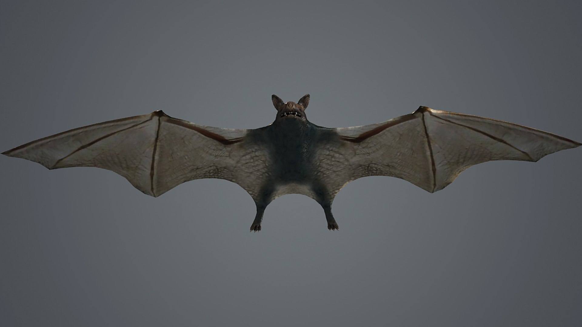 Bats Dark Bat Animated Rigg Mammal Bird Flying Vampire Model ...