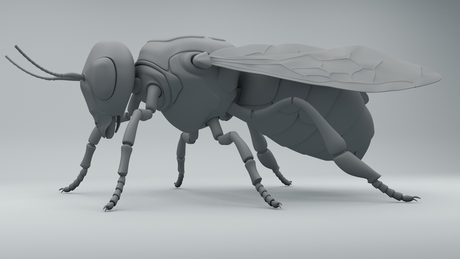 3D Bee Model - TurboSquid 1259126