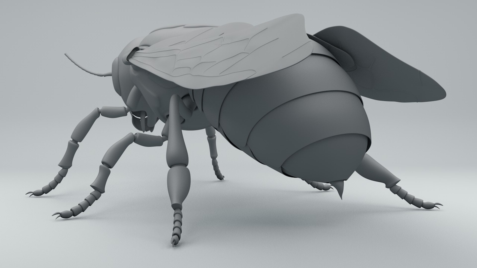 3D Bee Model - TurboSquid 1259126