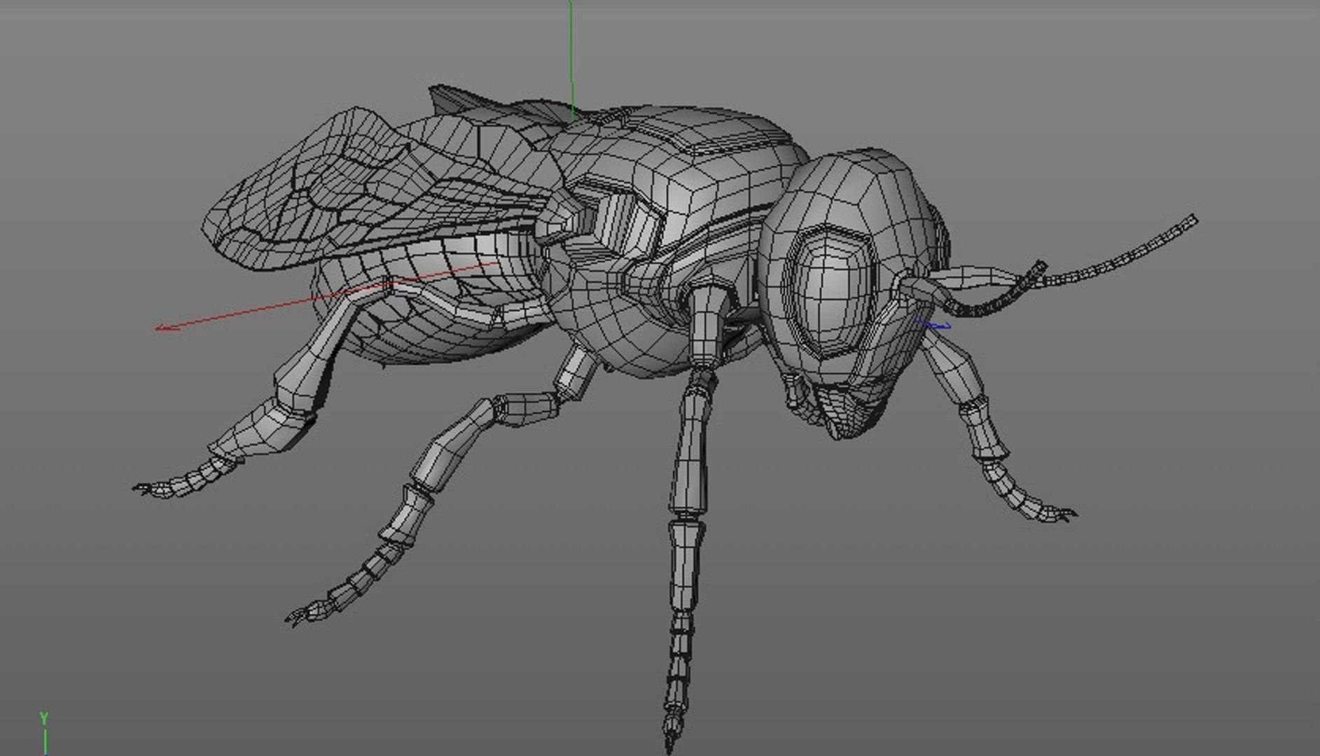 3d Bee Model Turbosquid 1259126 