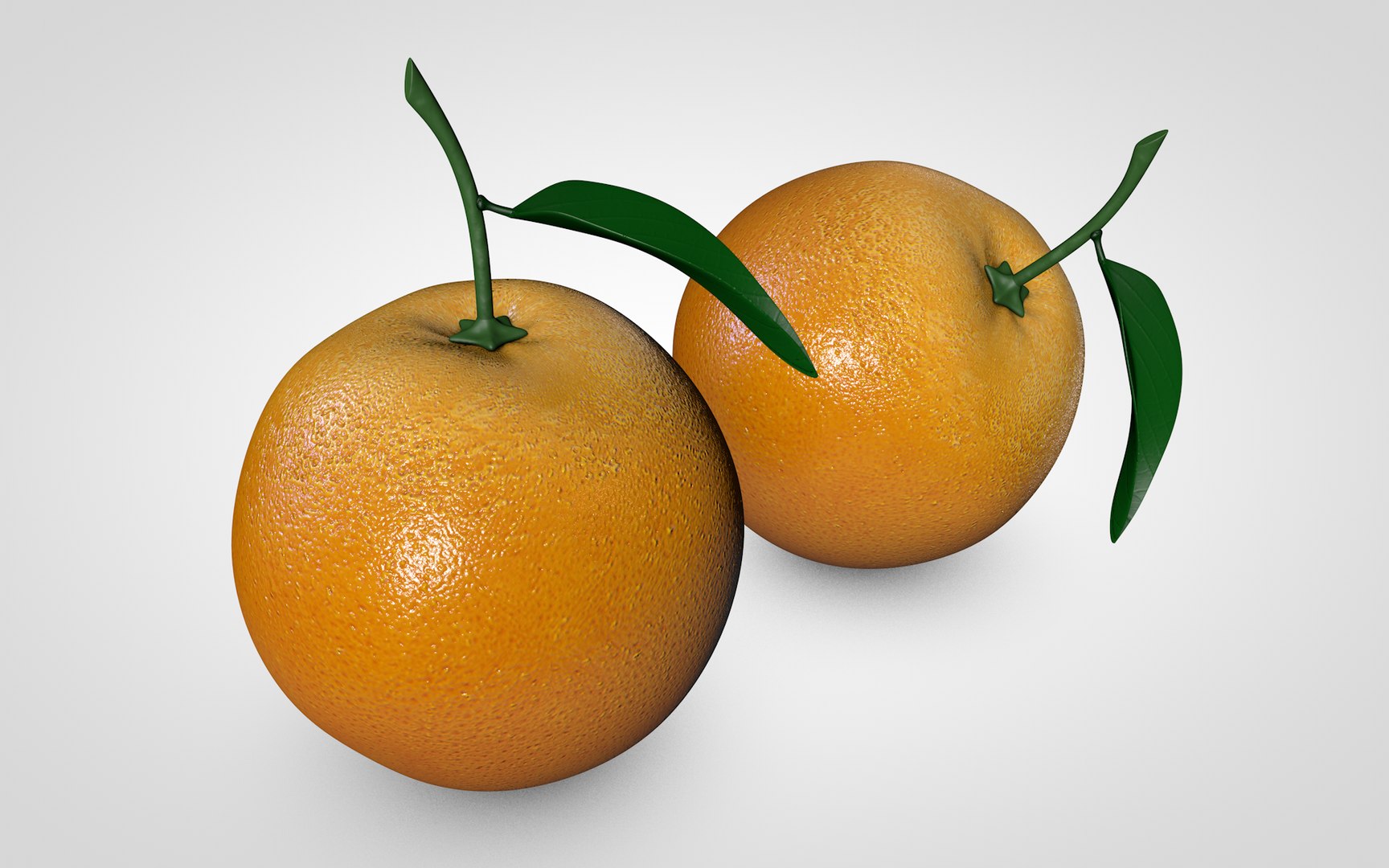 3d Oranges Model