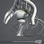 Human Female Reproductive Urinary 3d Model
