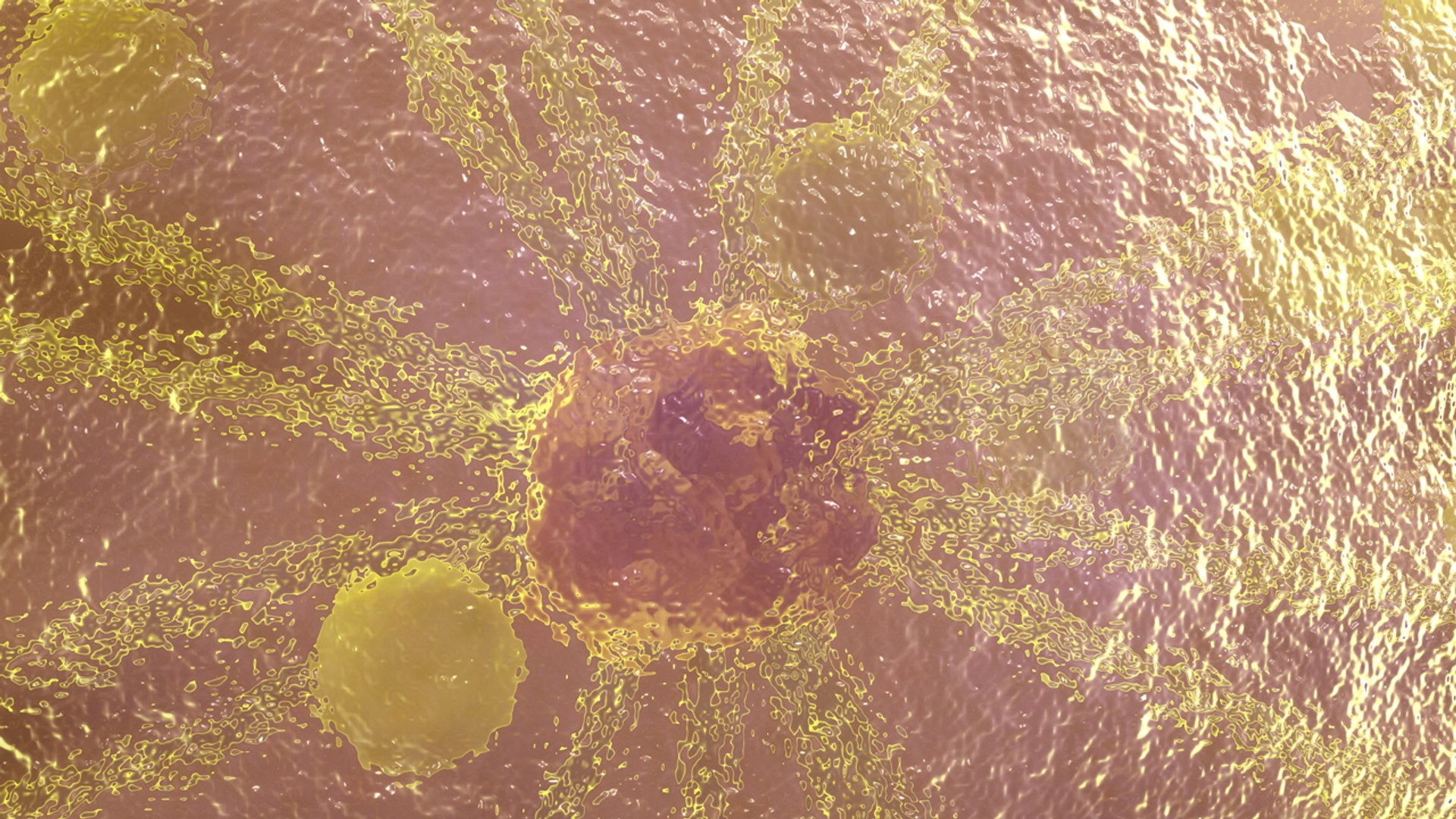3d Obj Acantharea Radiolarian Protozoa