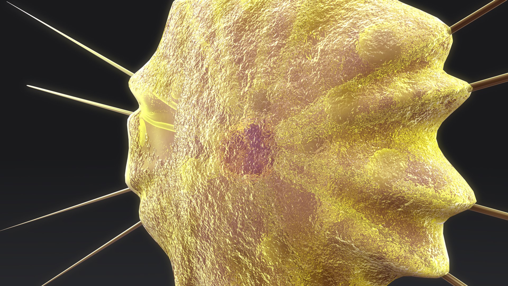 3d Obj Acantharea Radiolarian Protozoa