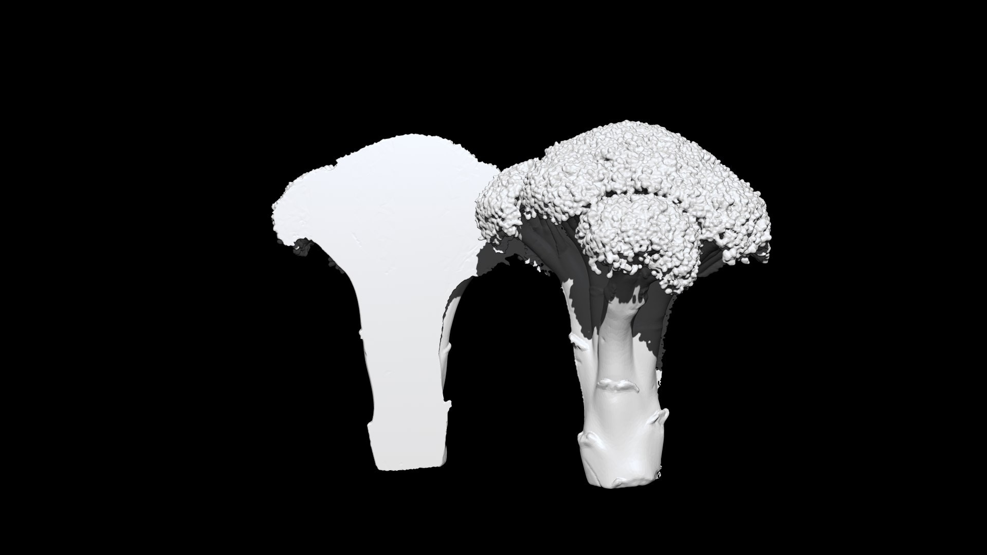 3D Broccoli Cut 3D CT Scan Model 3 Decimate 30percent - TurboSquid 1886438
