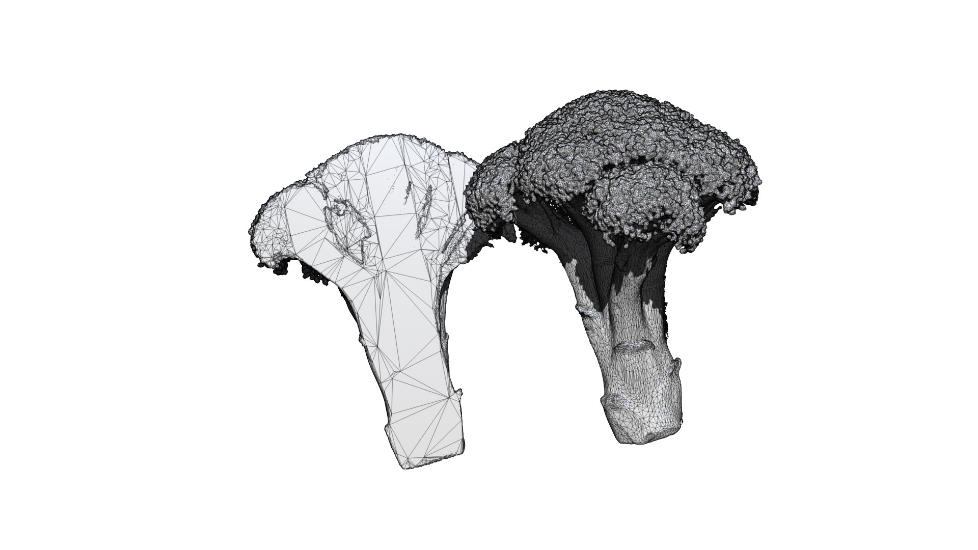 3D Broccoli Cut 3D CT Scan Model 3 Decimate 30percent - TurboSquid 1886438