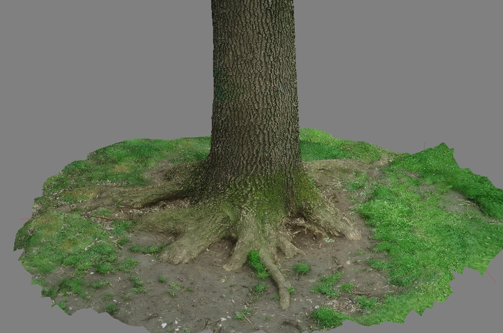 Tree Trunk 1 3d Model