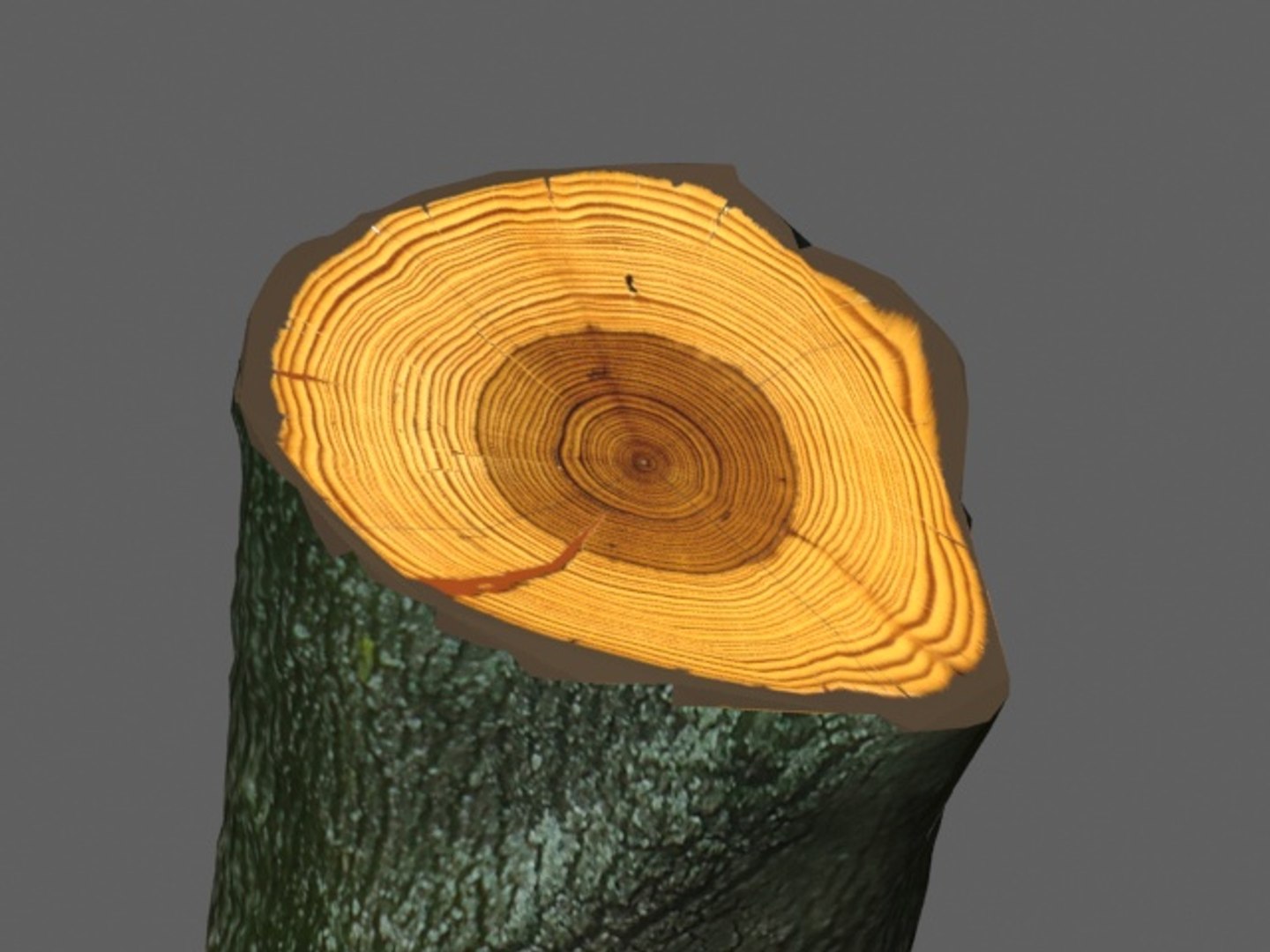 Tree Trunk 1 3d Model
